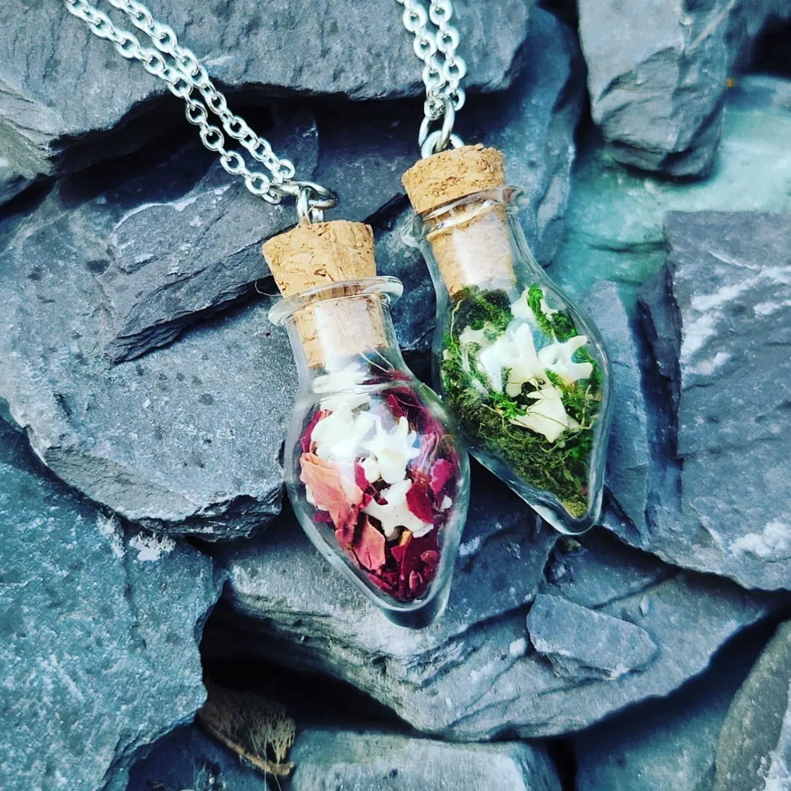 Mouse Vertebrae Vial Necklace..curio Oddities Witchy Taxidermy Pagan ...