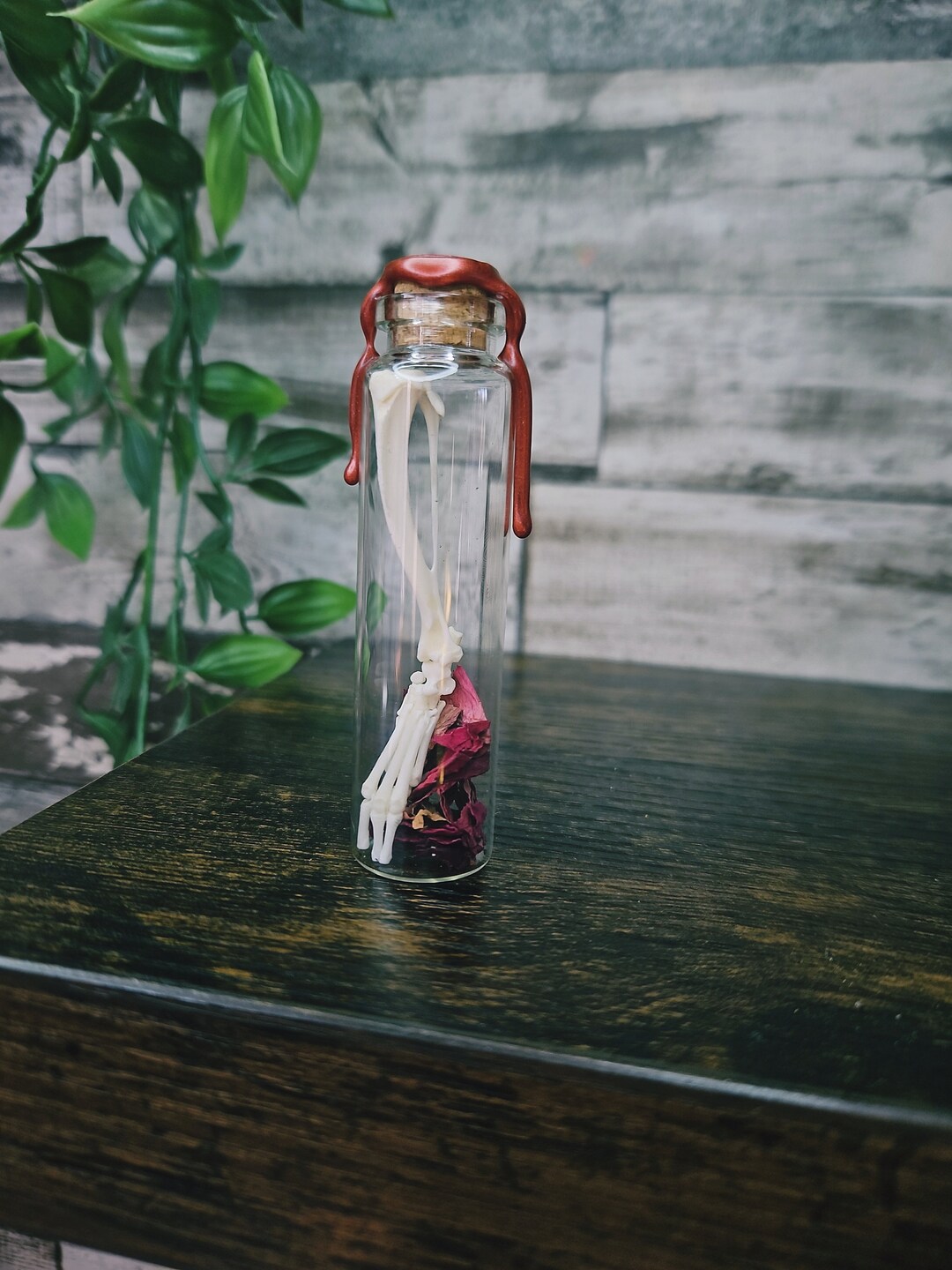Skeletal Rat Leg and Foot Curio Vial..curio Oddities Witchy - Etsy
