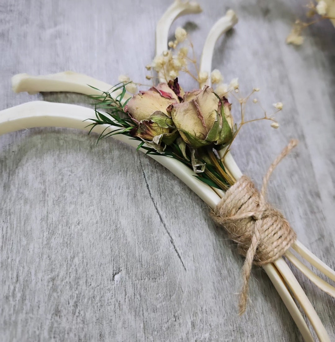 Large Sheep Rib Bone Bundle/bouquets Curio Oddities Taxidermy Witchy ...