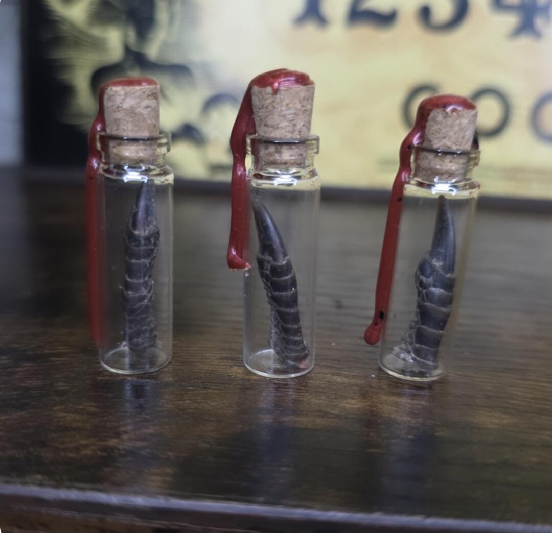 Preserved Pheasant Claw Vial - Curio Oddity - Etsy