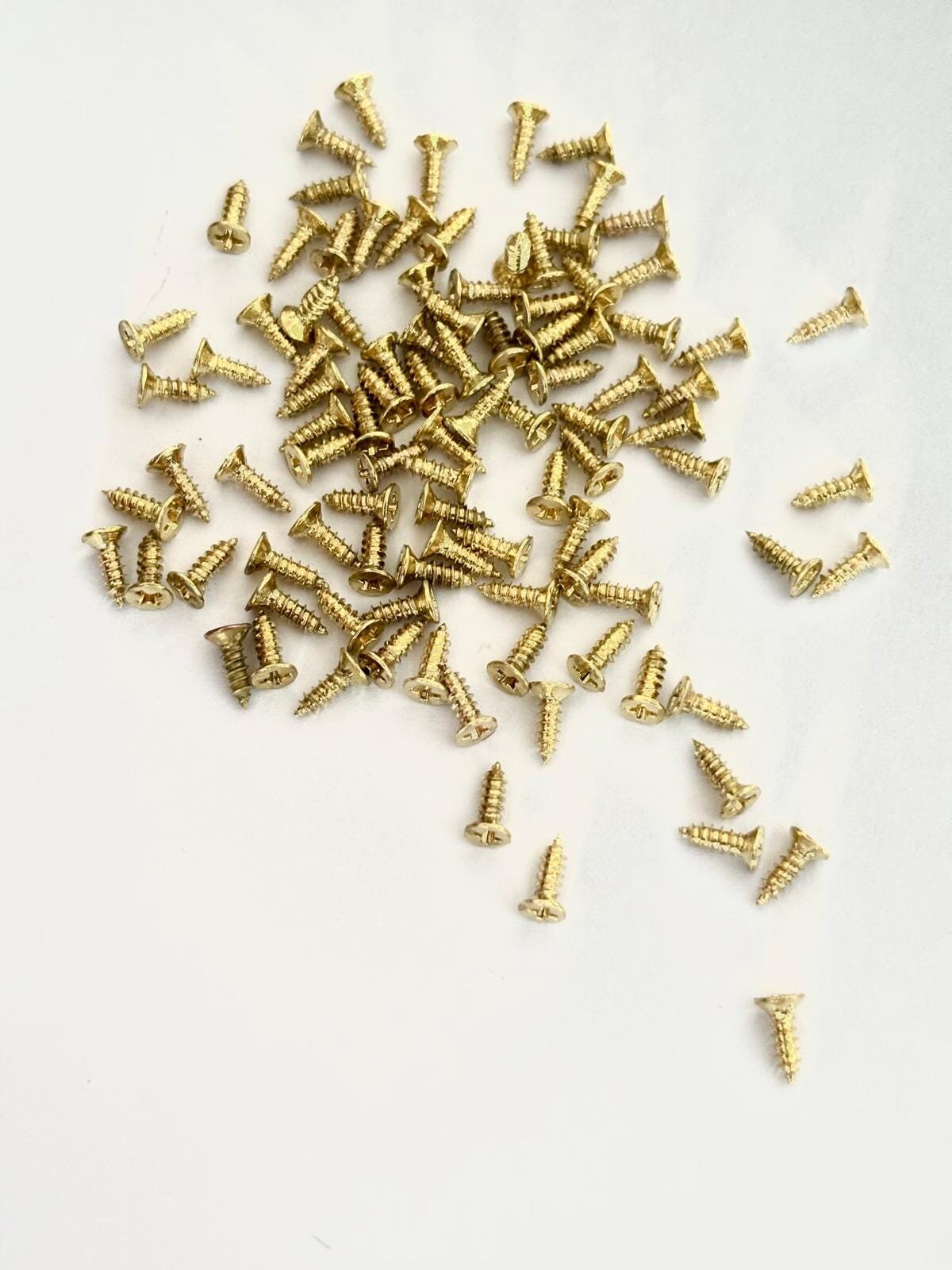 Mini Wood Screw 100 Pcs Hobby and Model Joining Screws for Hinge Lock ...