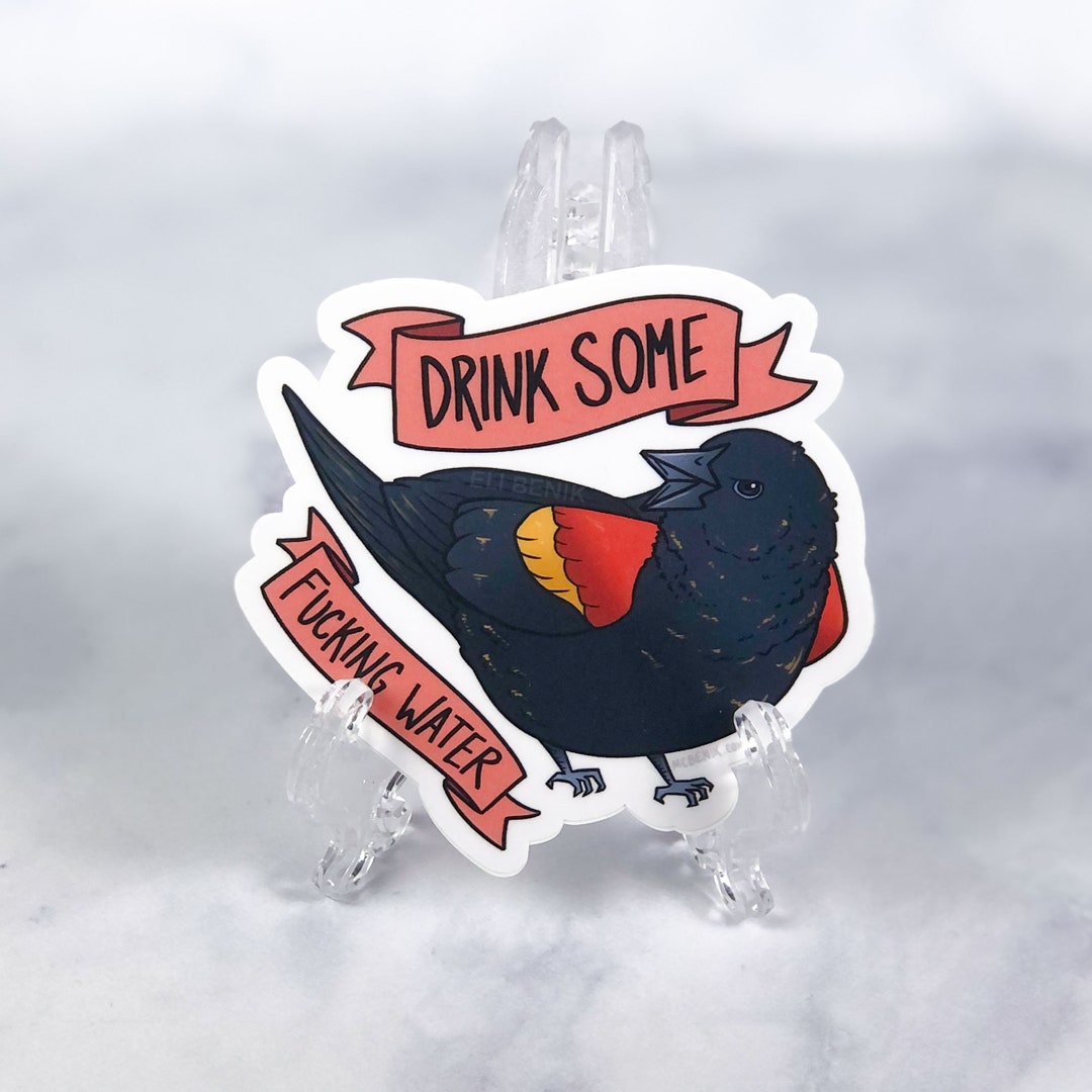 Remindbirbs Motivational Self Care Bird Stickers - Etsy