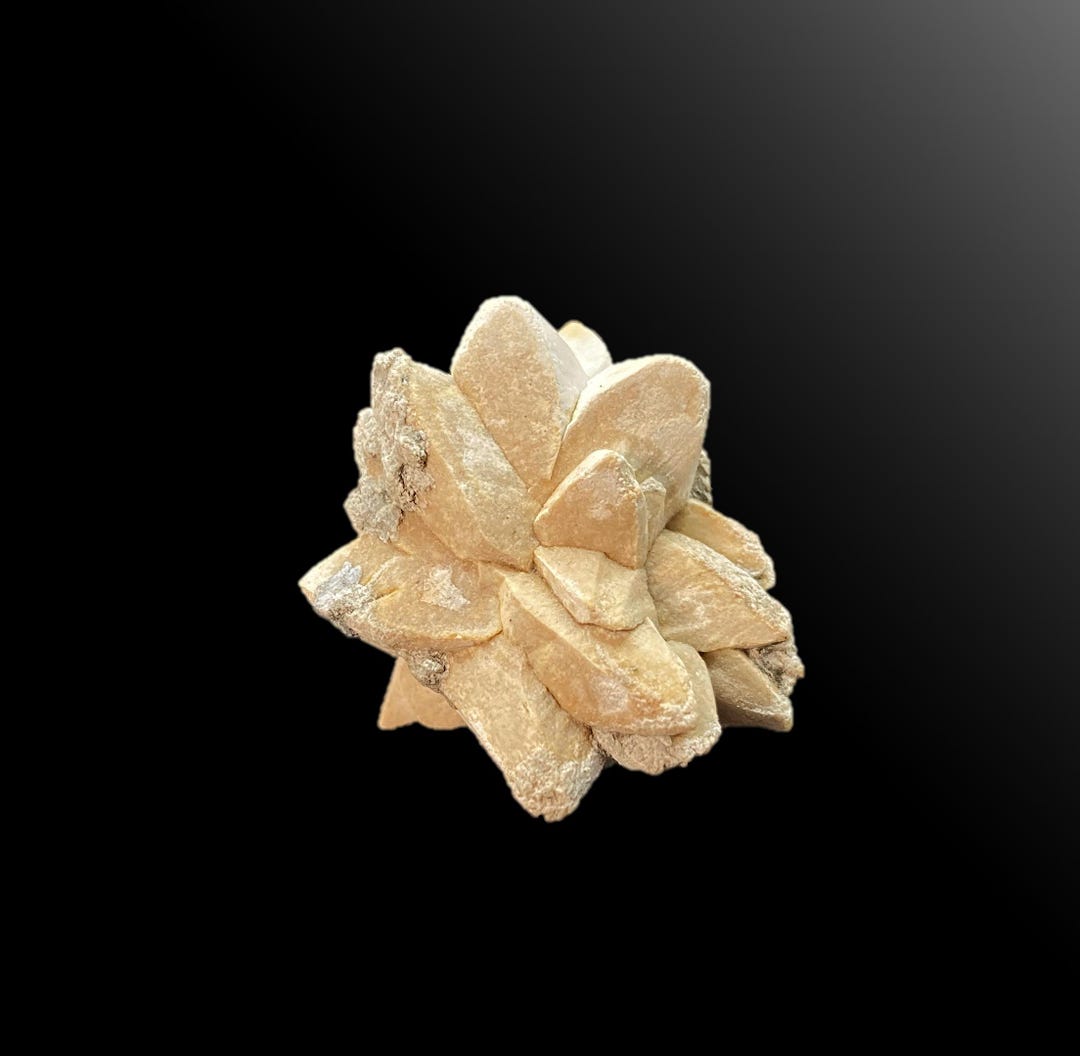 Calcite Pseudomorph After Ikaite Woody Cove Newfoundland & Labrador ...