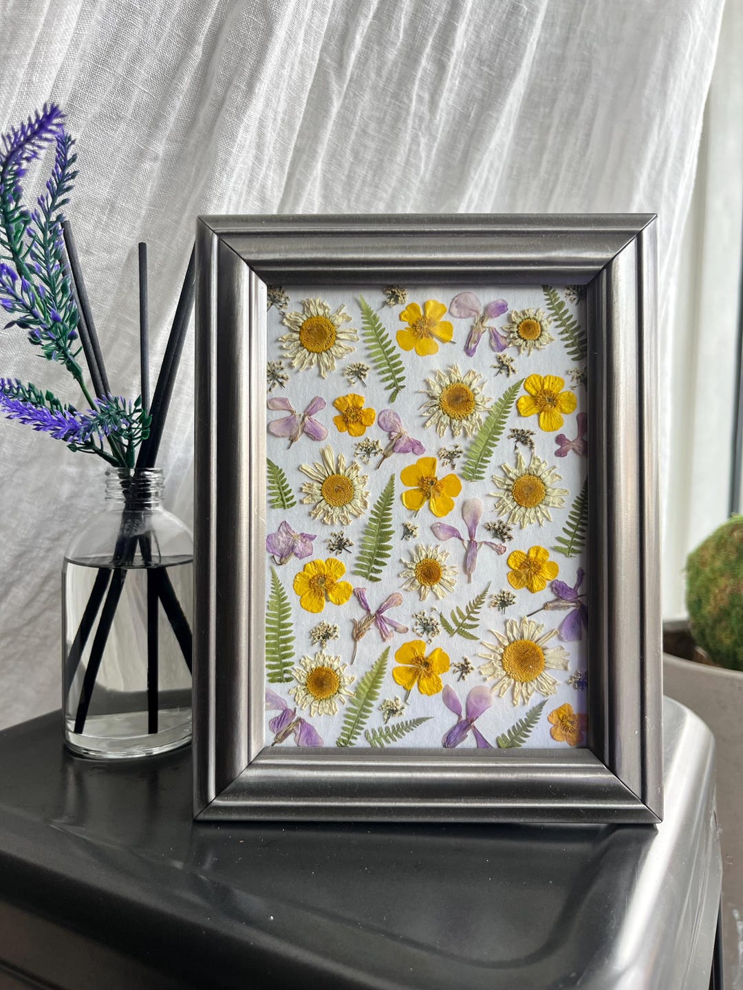 Handpressed Shasta Daisy Flower Frame | Real Flower Wall Art | Wildflower Frame | Herbarium ...