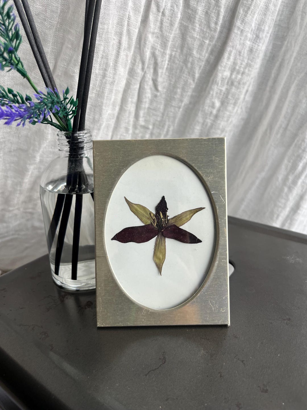 Hand Pressed Red Trillium Flower Frame | Real Flower Wall Art ...