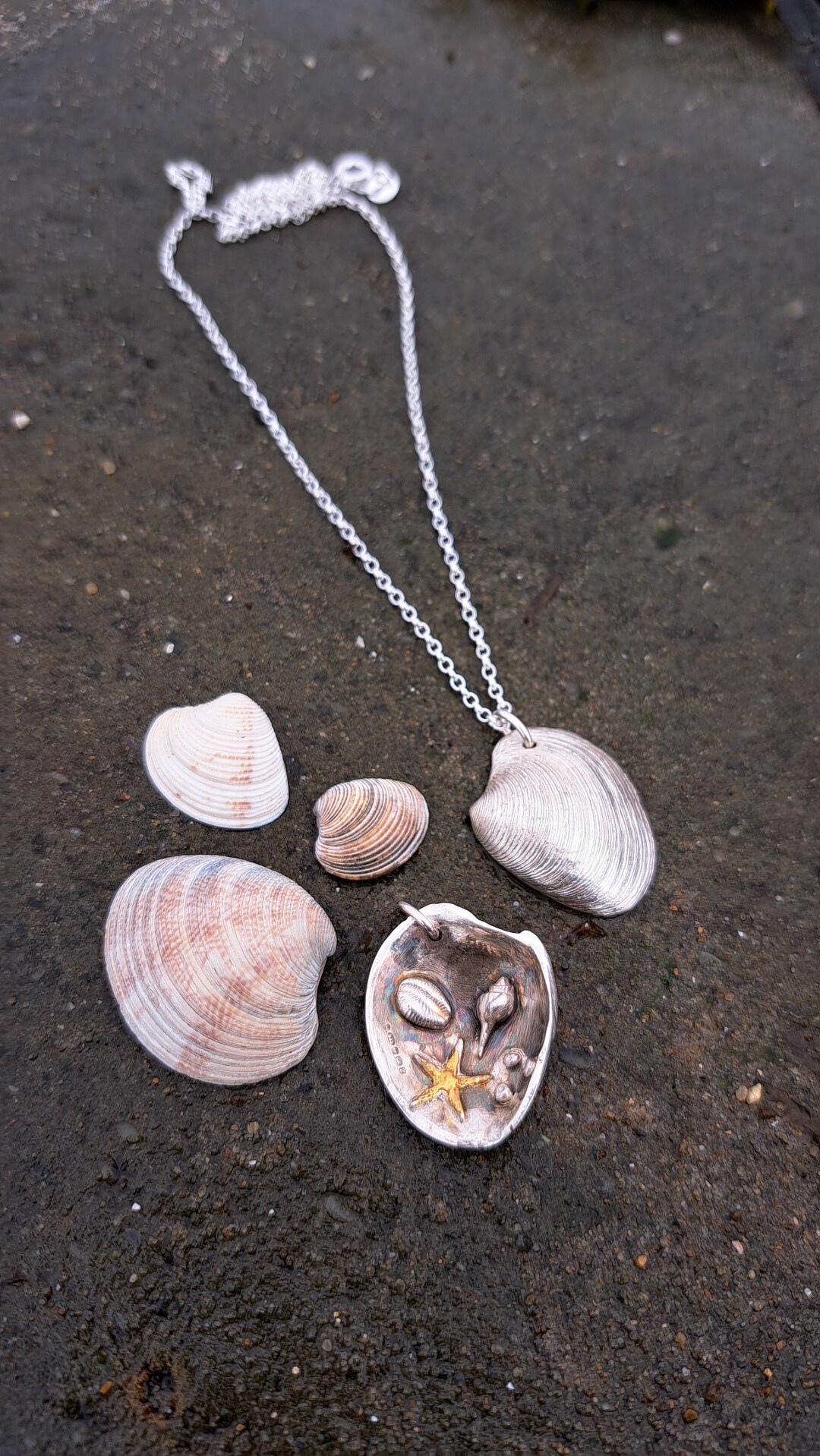 Llandanwg Silver Large VENUS CLAM Shell With Secret Rock Pool Necklace ...