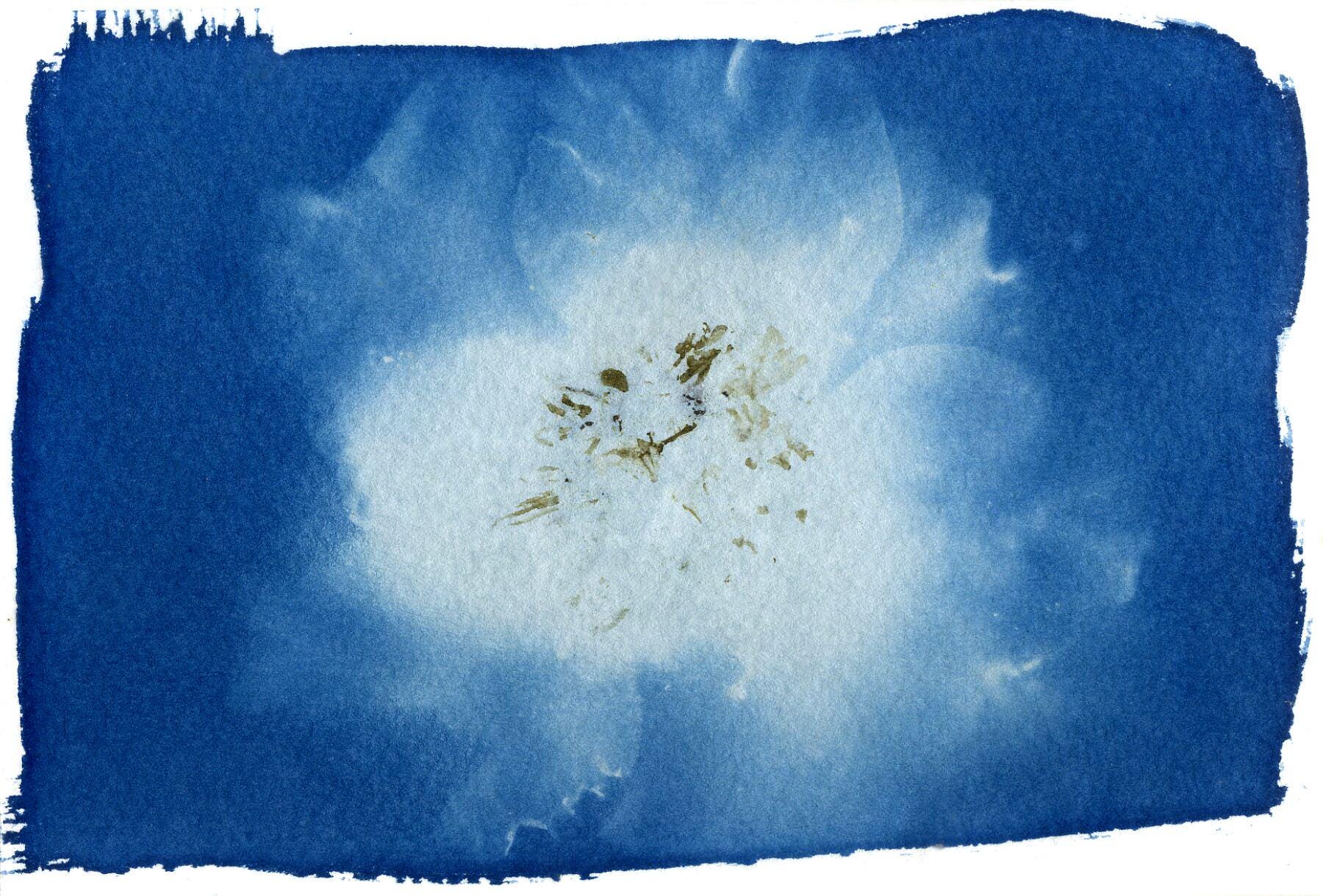 Lee: Lee Miller & Roland Penrose's Garden - Etsy