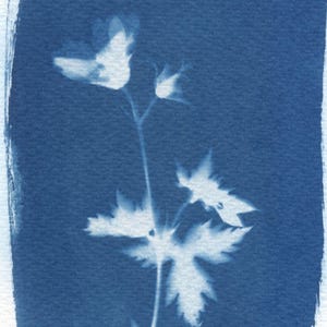 Fragile Wild: Lee Miller & Roland Penrose's Garden - Etsy Canada