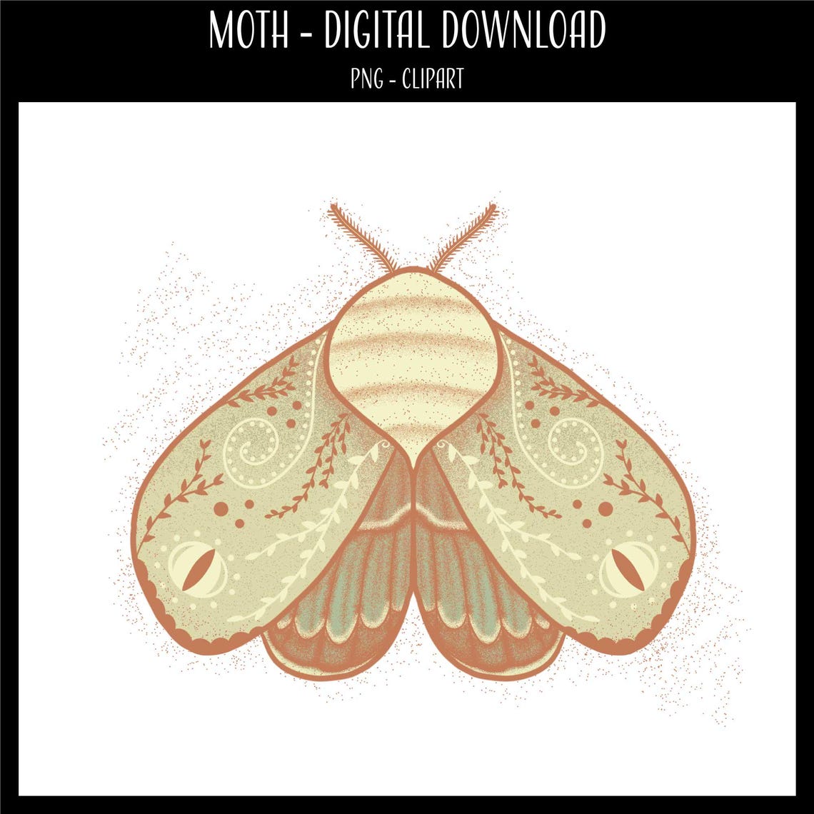 Moth PNG | Moth Design | Moth Clipart | Digital PNG Download - Etsy