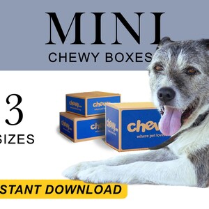 Mini CHEWY Pet BOX Template Instant Download Printable - Etsy Canada