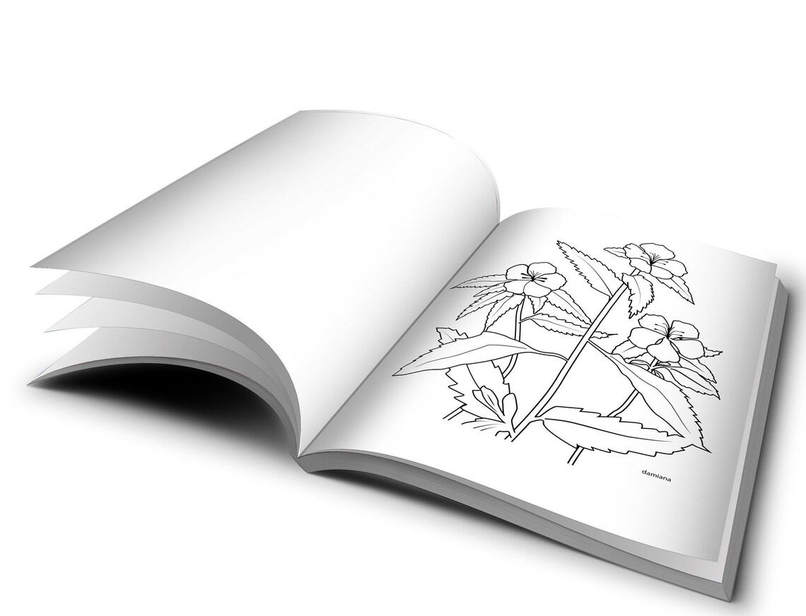 Printable Medicinal Herbs Coloring Book / Instant Download Medicinal ...