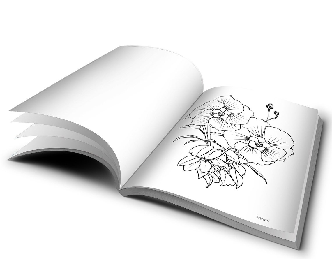 Printable Medicinal Herbs Coloring Book / Instant Download Medicinal ...