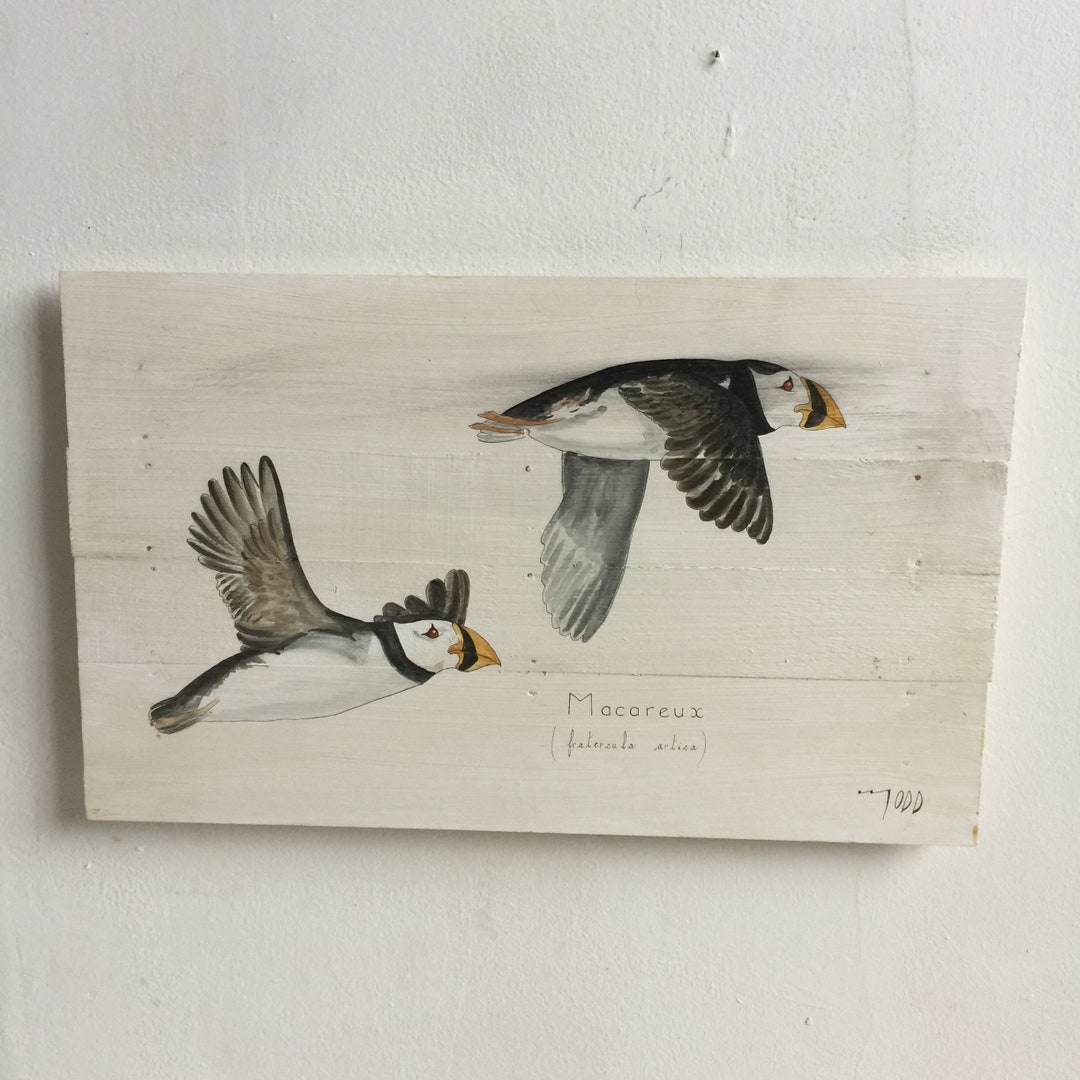 Handpainted, Signed Puffin Painting on Board /wall Art /art/ Gift - Etsy