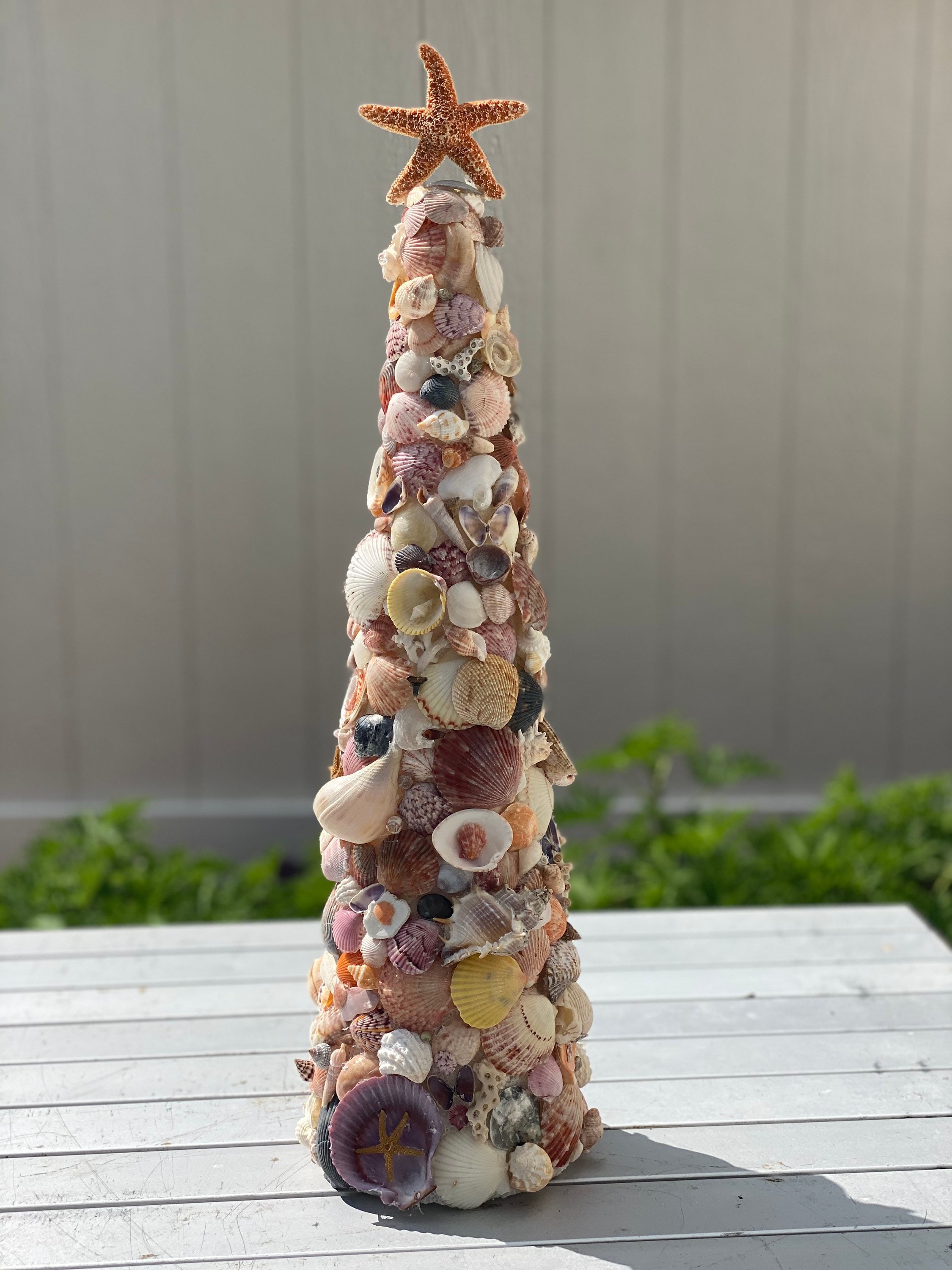 Bring the Beach Inside! Seashell Home Decor - Etsy