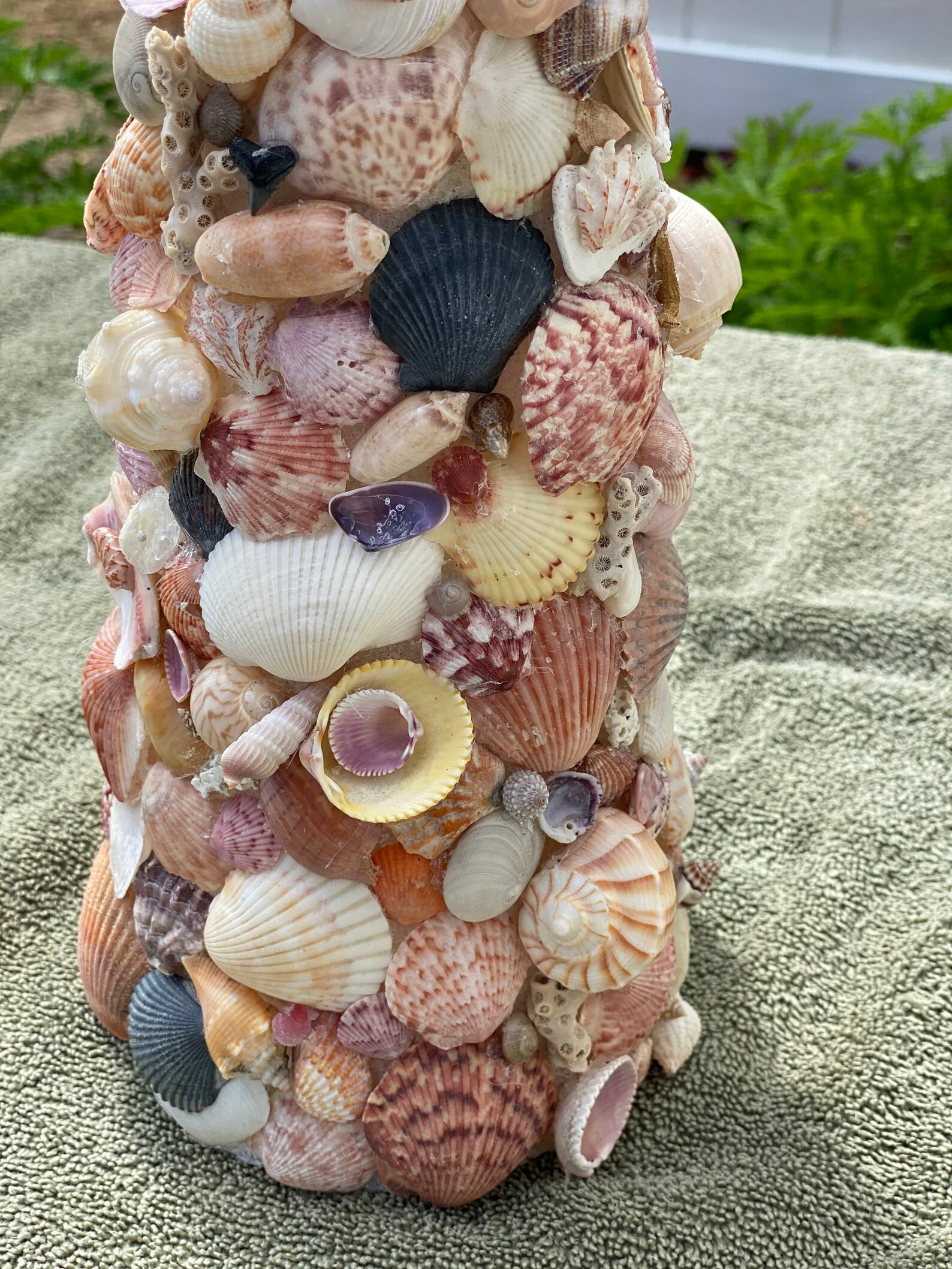 Bring the Beach Inside! Seashell Home Decor - Etsy