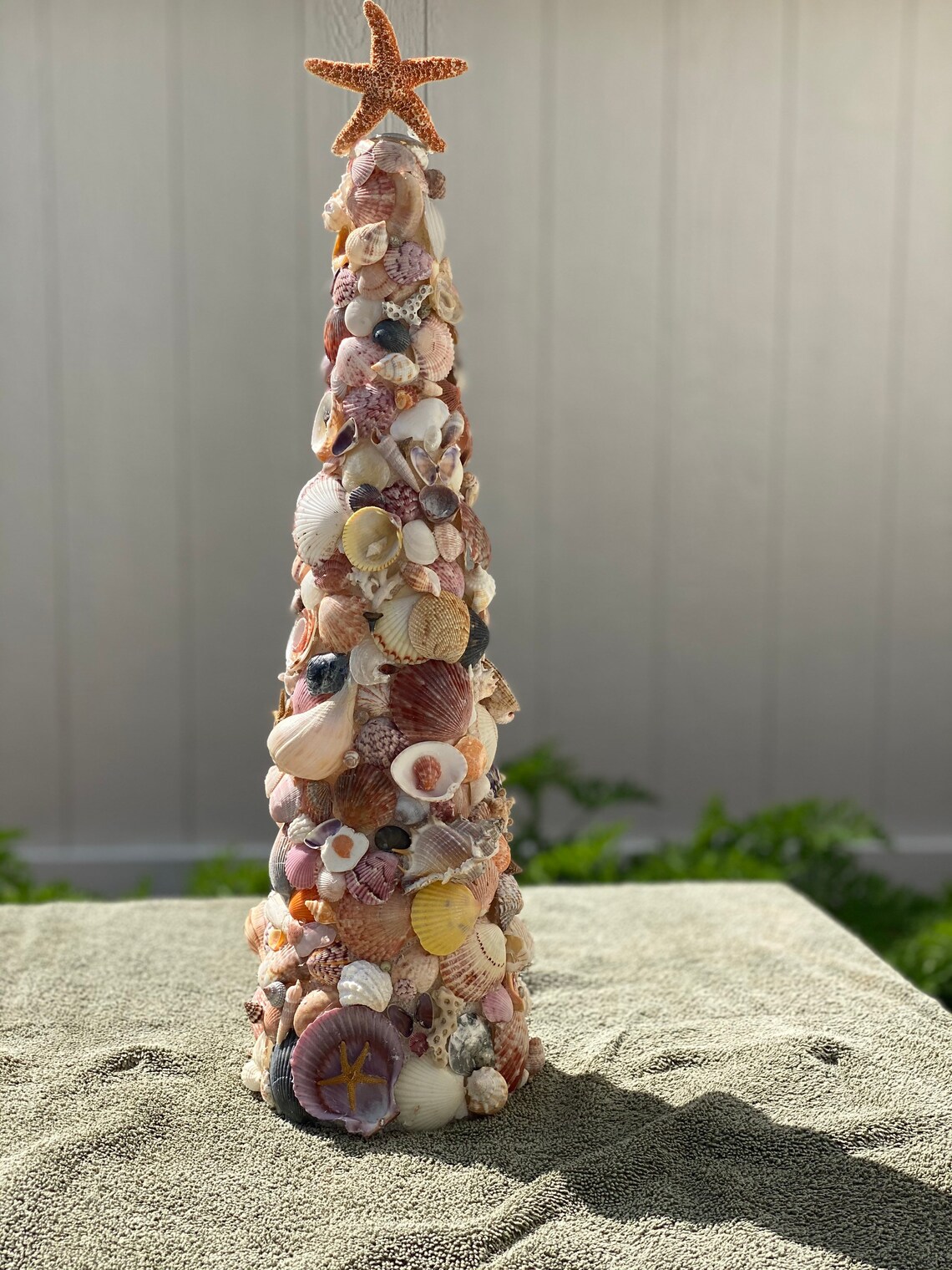 Bring the Beach Inside! Seashell Home Decor - Etsy