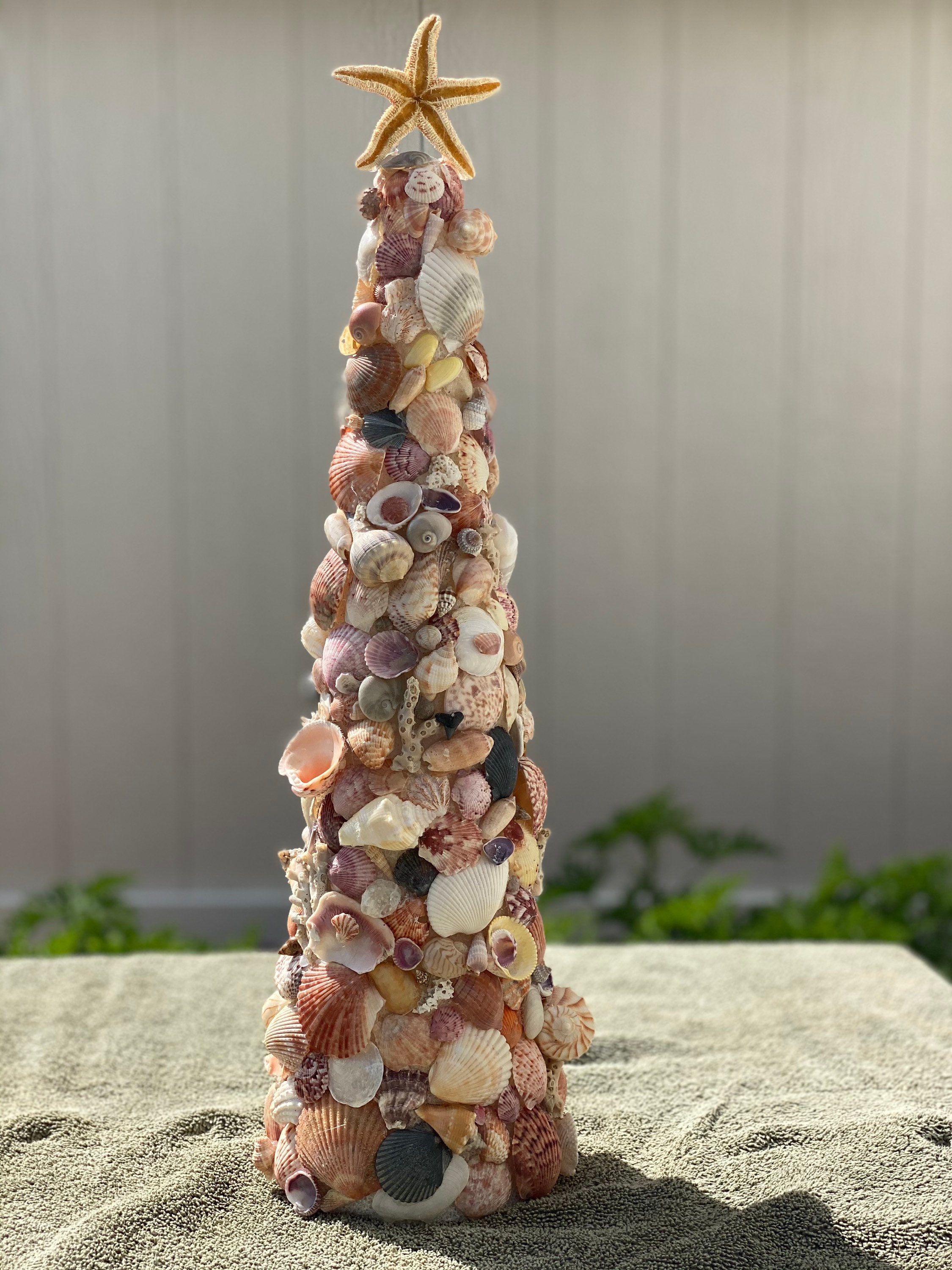 Bring the Beach Inside! Seashell Home Decor - Etsy