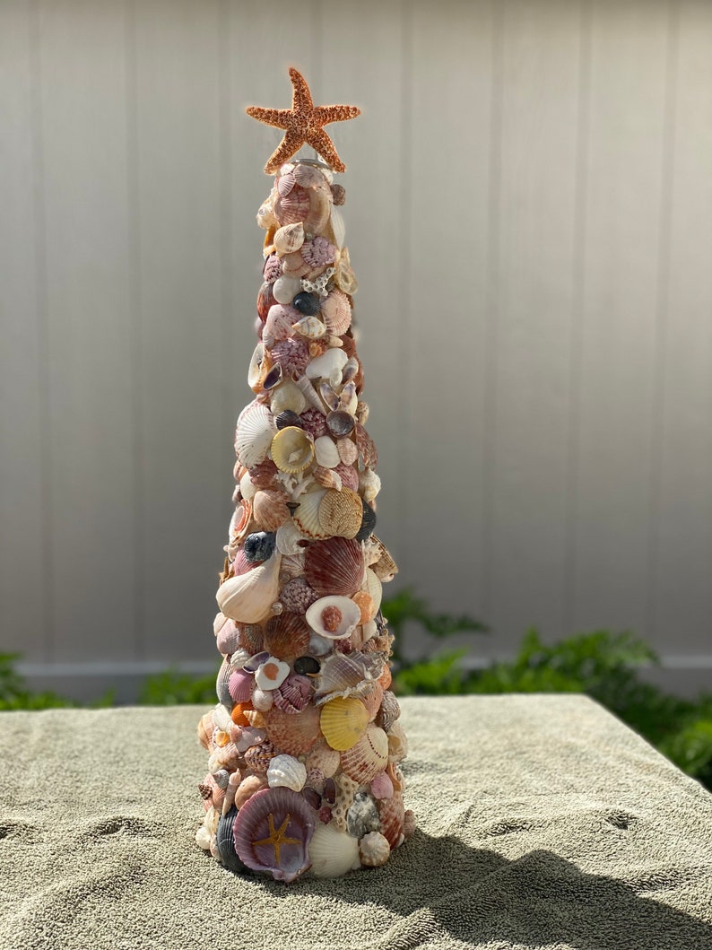 Bring the Beach Inside! Seashell Home Decor - Etsy