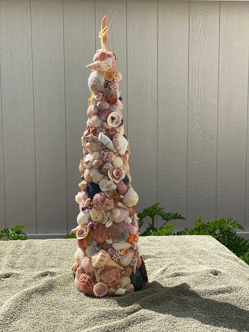 Bring the Beach Inside! Seashell Home Decor - Etsy