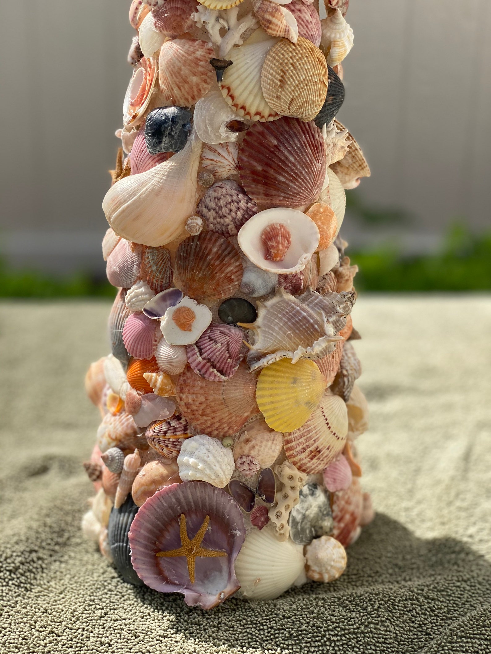Bring the Beach Inside! Seashell Home Decor - Etsy