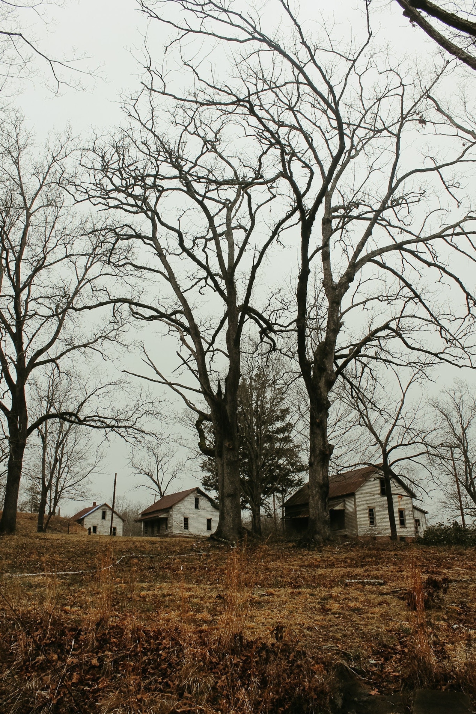 Abandoned Ghost Town in Rural North Carolina; 8x10 Color Digital Print ...