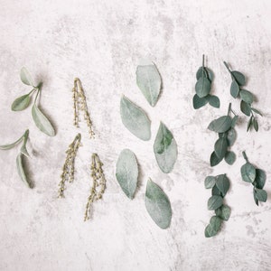 Loose Greenery Bundle Toss Petal Greenery Leaves Table - Etsy