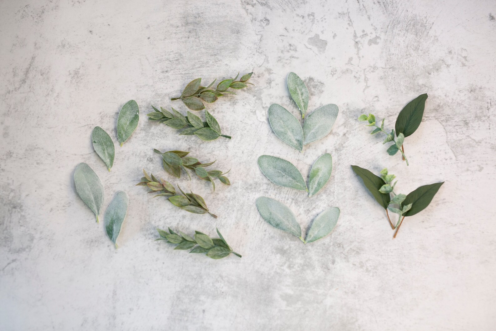 Loose Greenery Bundle Toss Petal Greenery Leaves Table Styling Stems ...