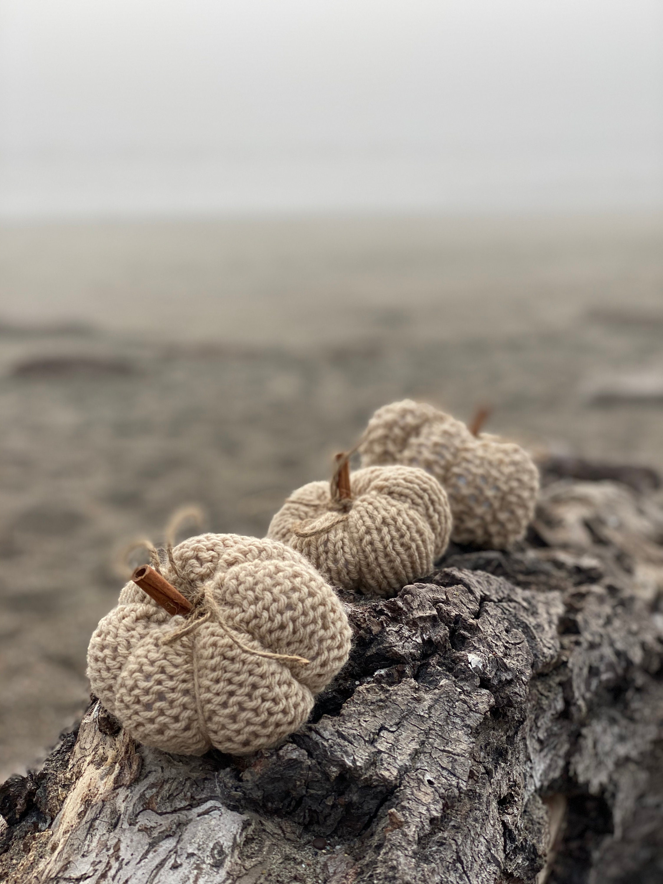 Mini Beige Pumpkins Set of 3 Beach Pumpkin 2x4 Inches | Etsy