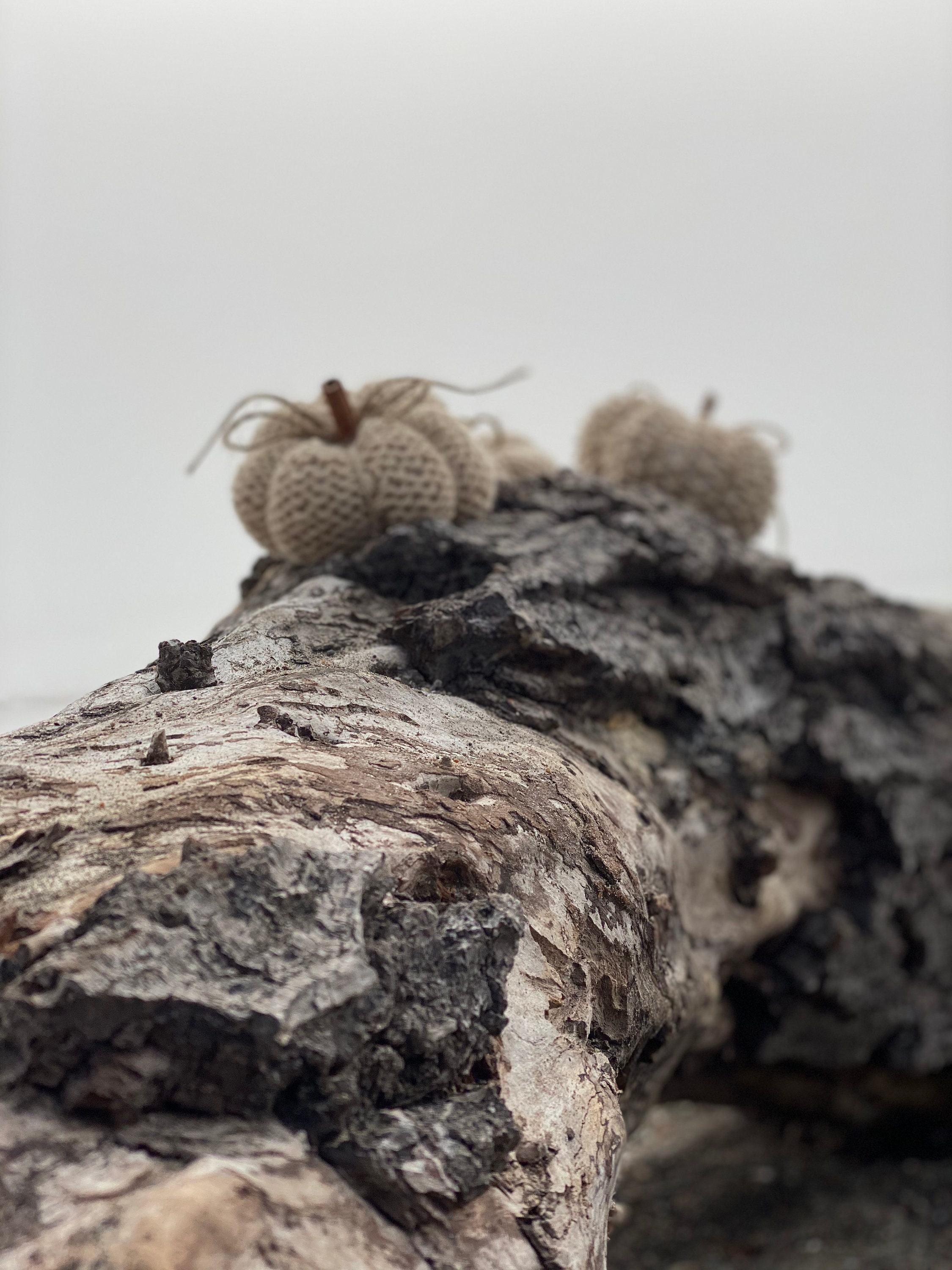 Mini Beige Pumpkins Set of 3 Beach Pumpkin 2x4 Inches | Etsy