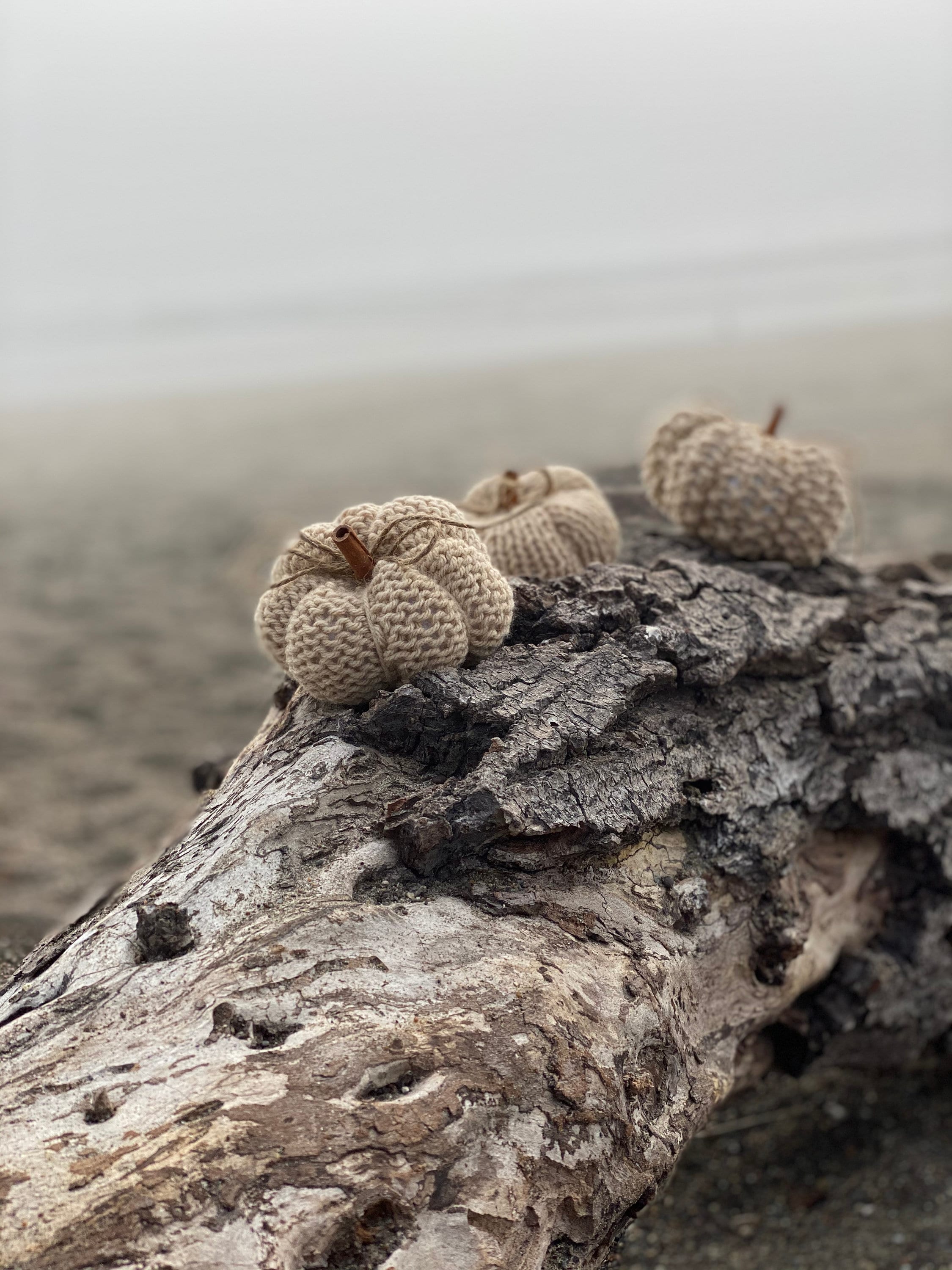 Mini Beige Pumpkins Set of 3 Beach Pumpkin 2x4 Inches | Etsy