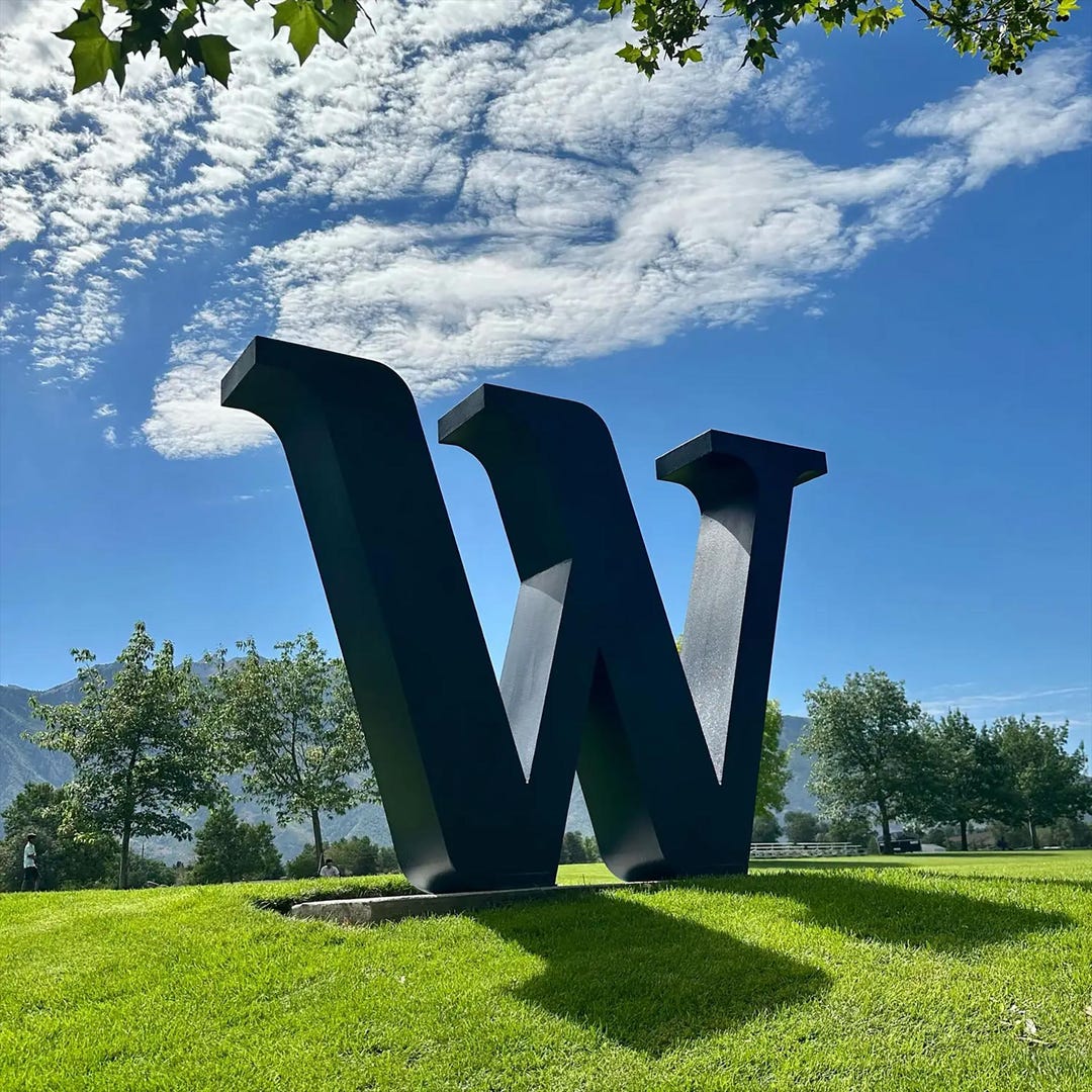 Large Outdoor Letter Sign - Custom Business Name Signage - Durable and ...