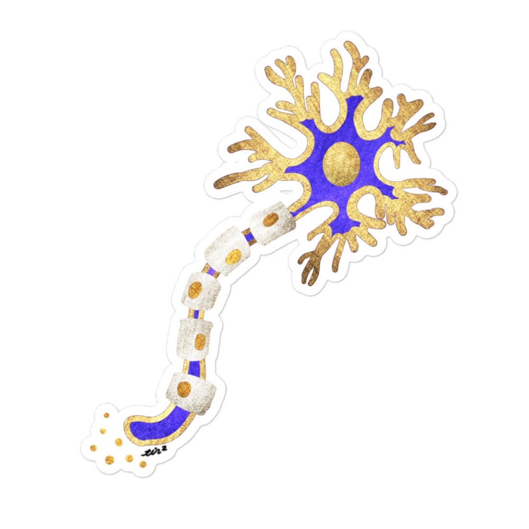 Neuron Neurology Sticker - Etsy