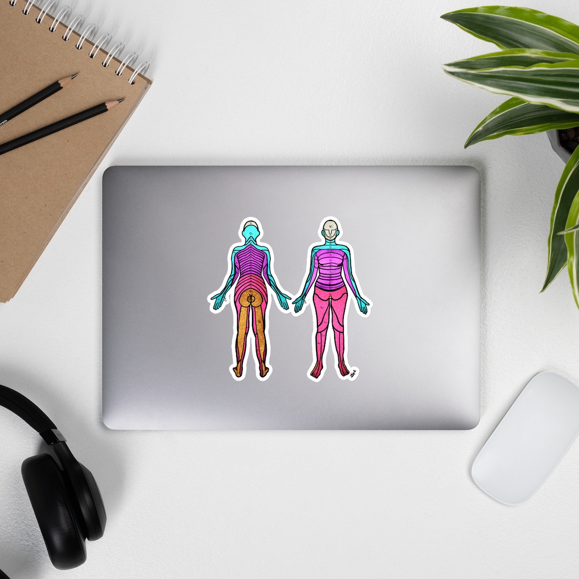 Dermatomes Neurology Sticker – Spinal Nerve Map Art | Med Student Gift ...