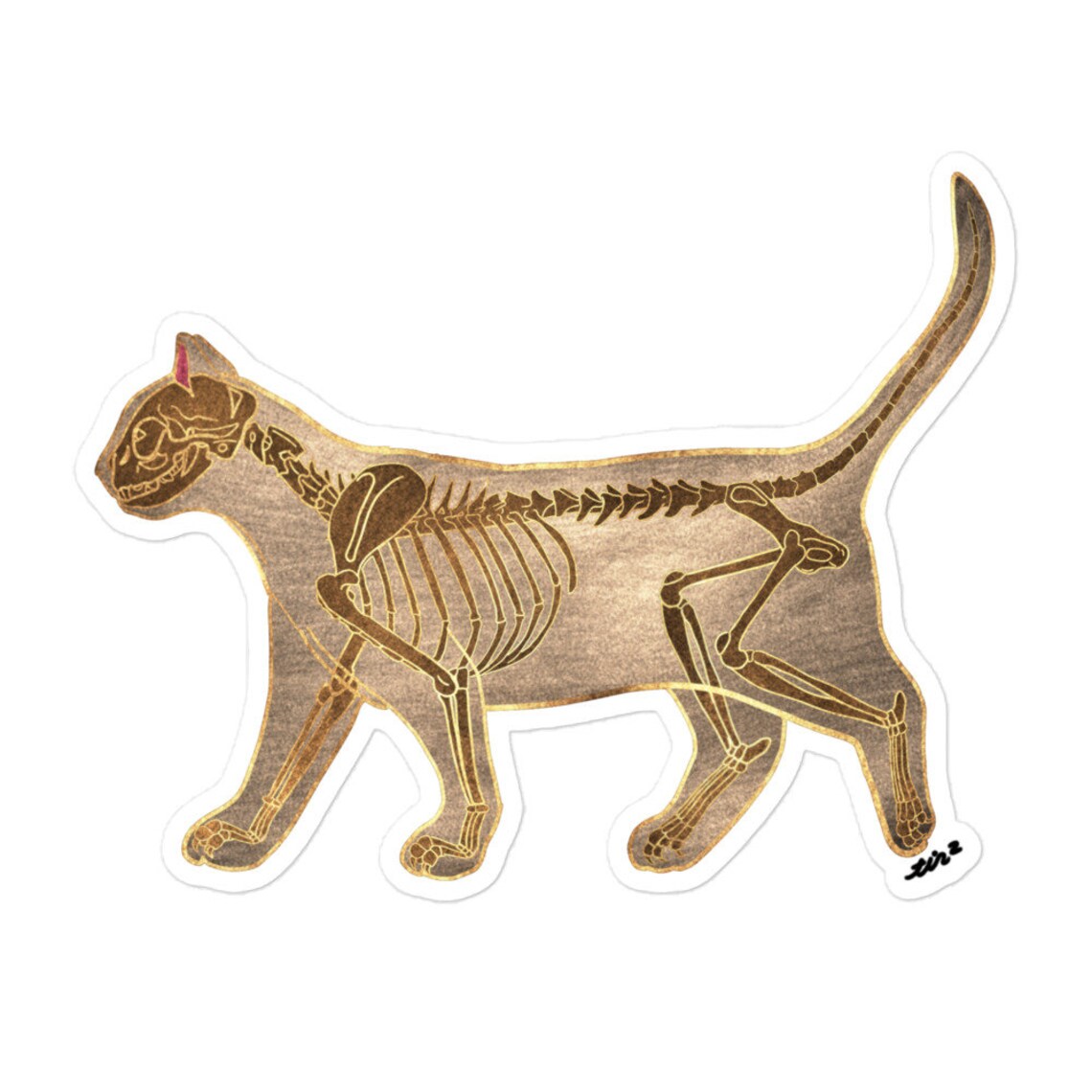 Cat Skeleton Sticker - Etsy