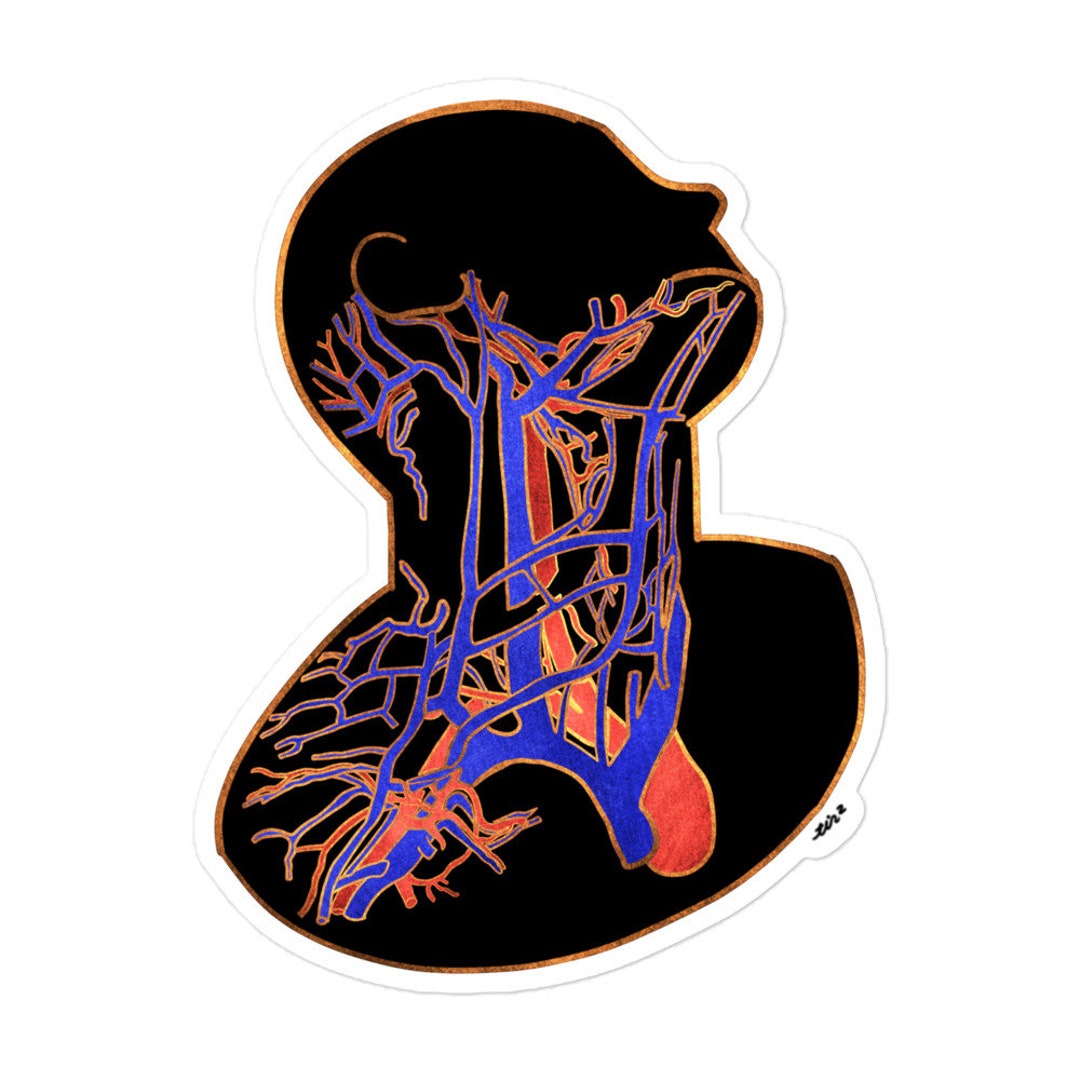 Neck Arteries and Veins Sticker - Etsy