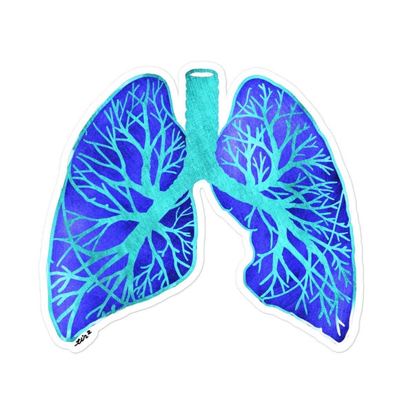 Lung Anatomy Pulmonary Sticker - Etsy