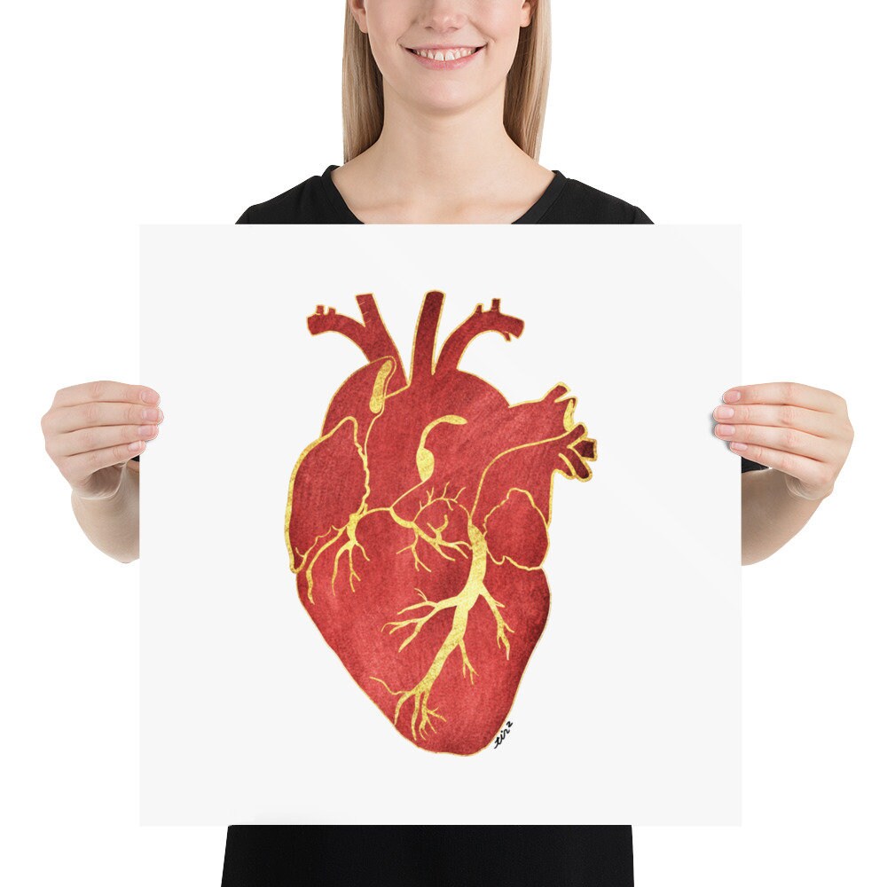 Heart Anatomy Poster - Etsy