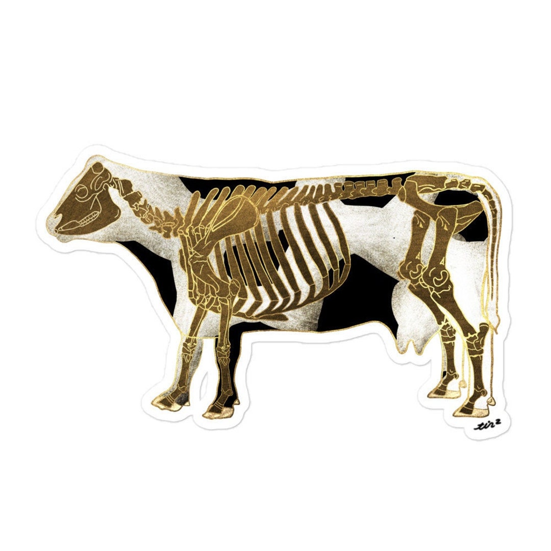 Cow Skeleton Anatomy Sticker - Etsy