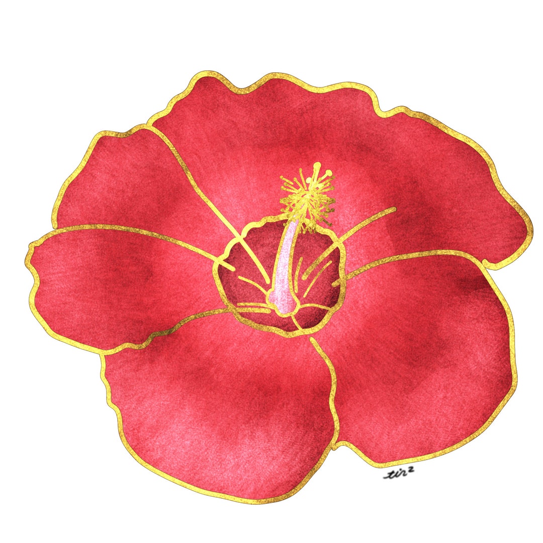 Amapola Hibiscus Sticker – Puerto Rico National Flower, Flor De Maga ...