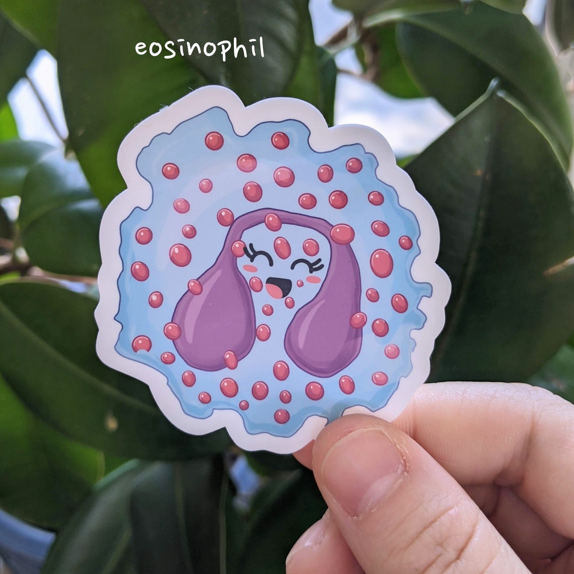 White Blood Cell Stickers Cute Biology Stickers Laminated | Etsy