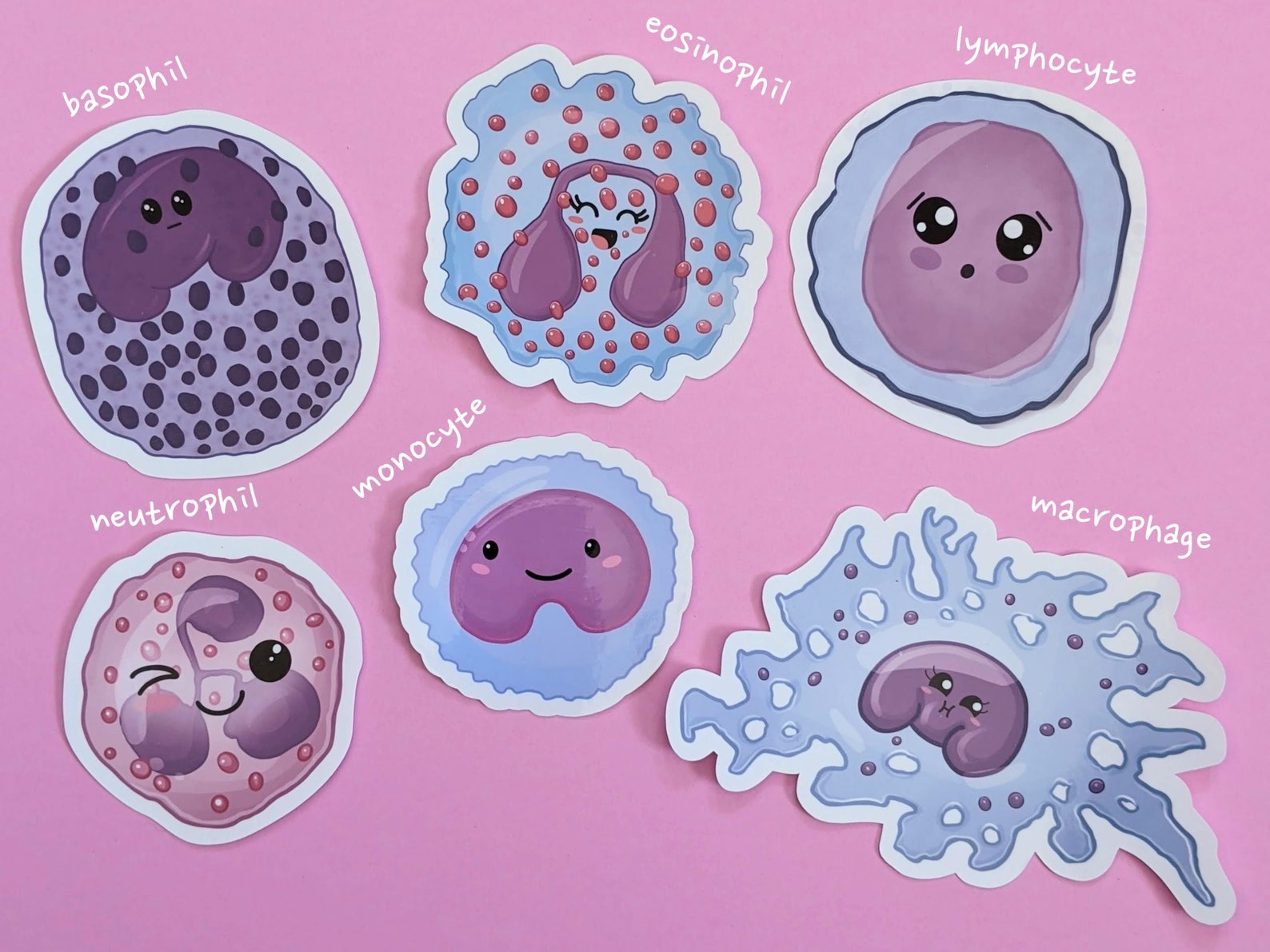White Blood Cell Stickers Cute Biology Stickers Laminated | Etsy
