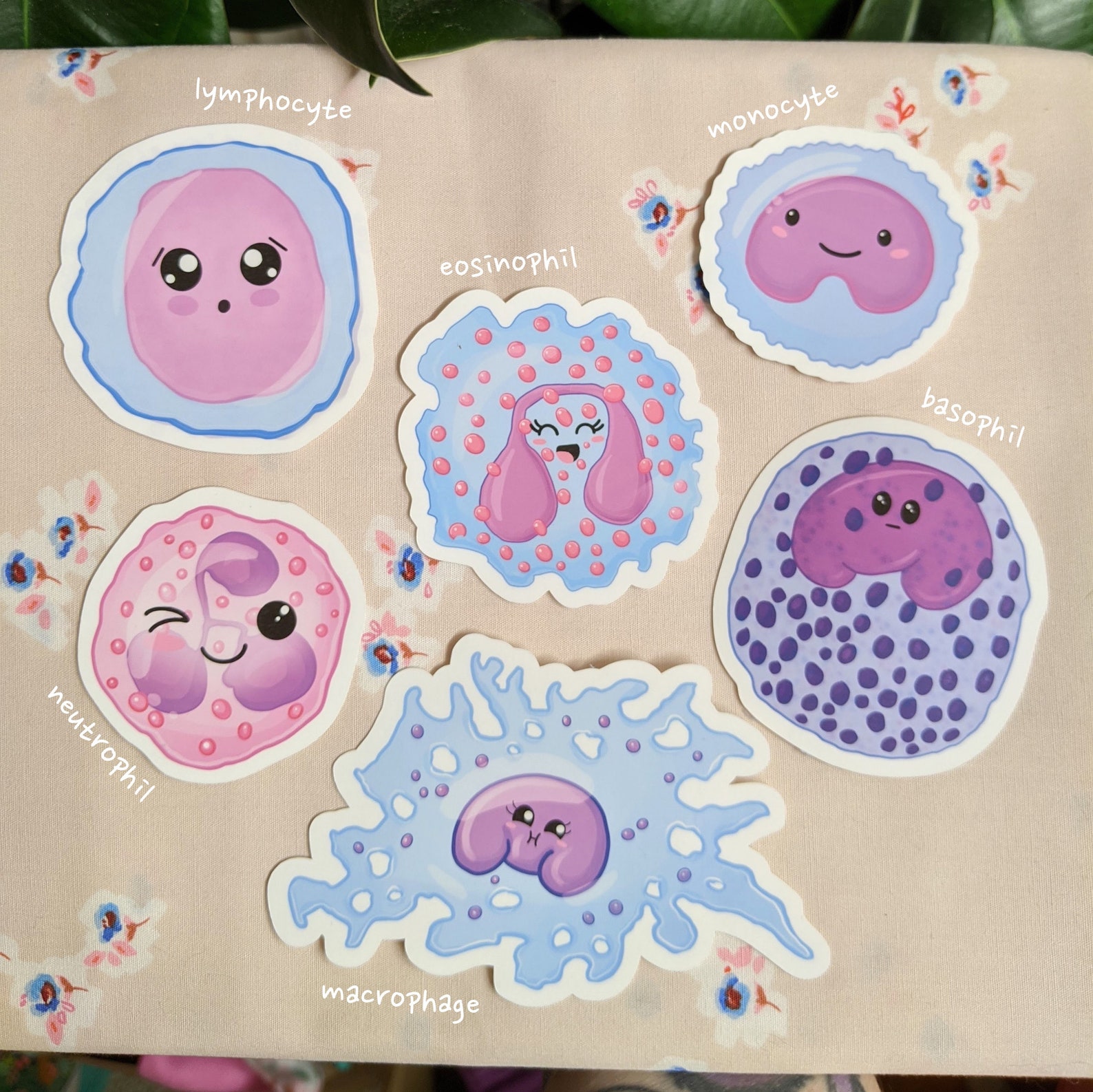 White Blood Cell Stickers Cute Biology Stickers Laminated | Etsy