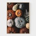Autumn Gallery Wall Art Set of 6 Prints Fall Decor Fall Nature Poster ...