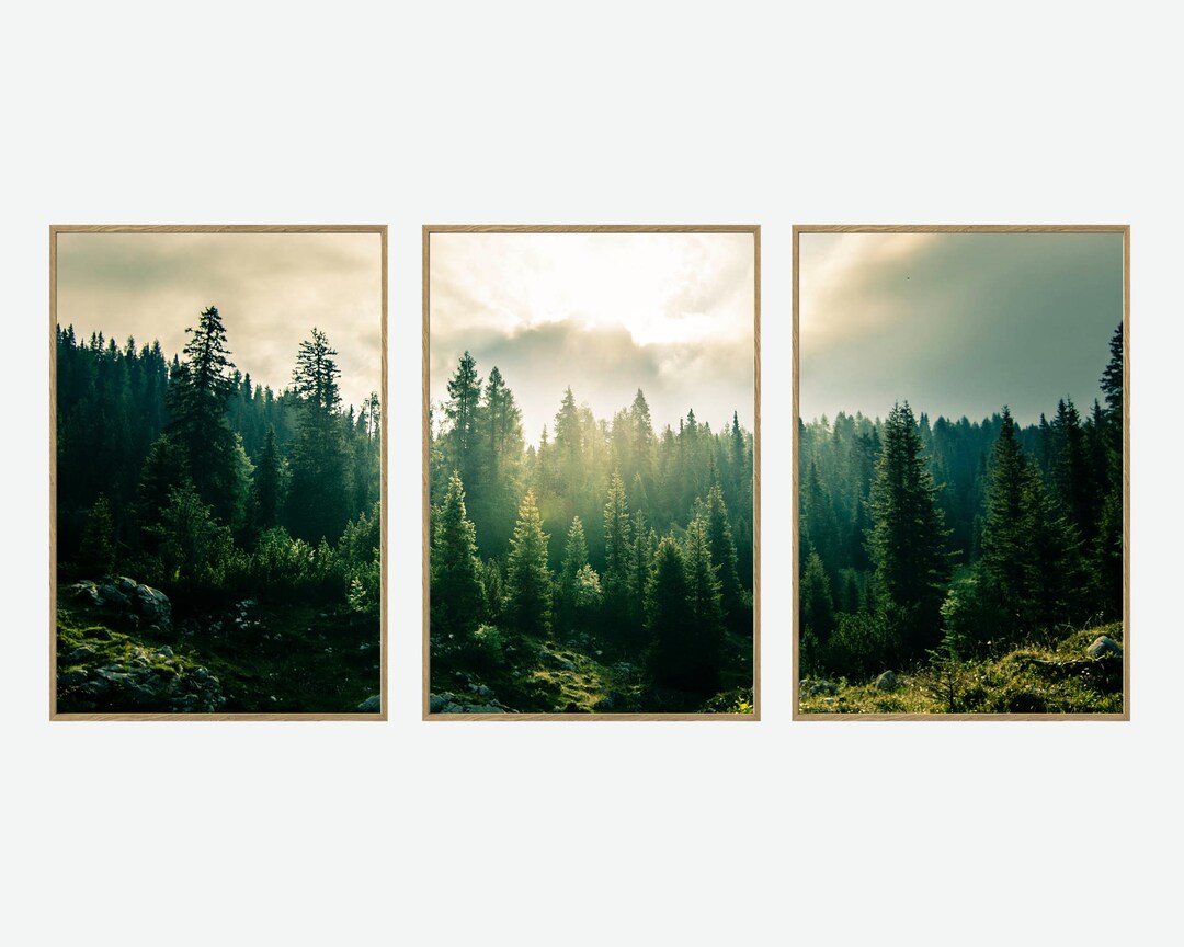 Mountain Forest Nature Photo, Landscape Photo, Set of 3 Prints, Nature ...