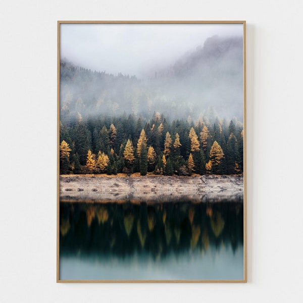 Nature Photo - Etsy