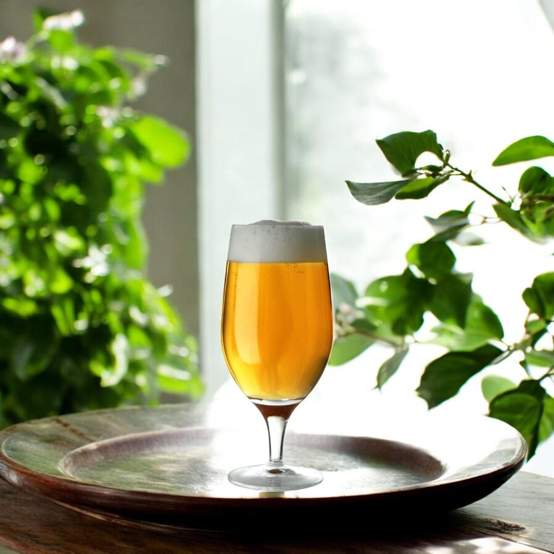 Crystal Beer Glasses Set of 2/4/6: Piero Vintage-inspired Barware - Etsy