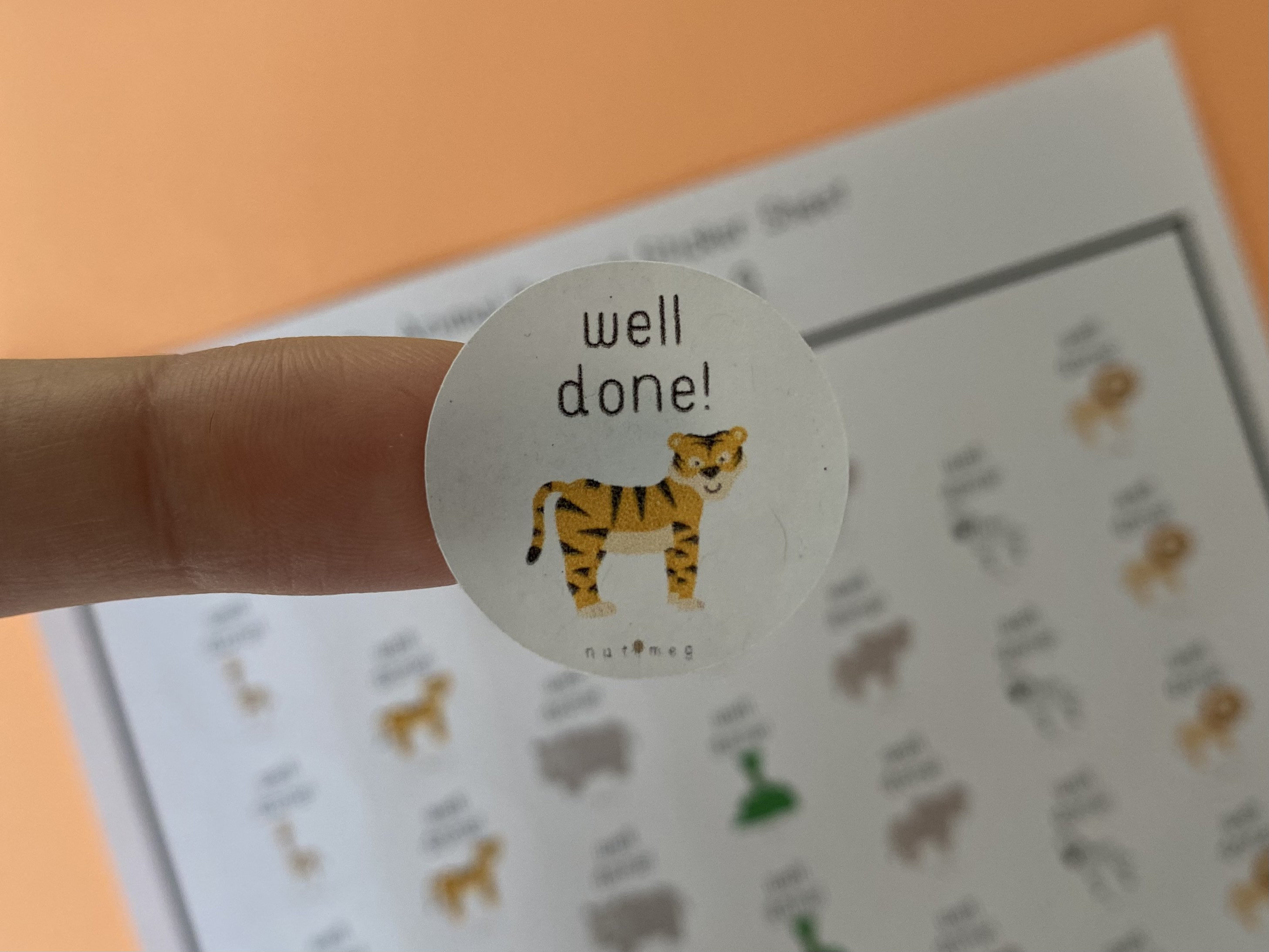 Personalised Animal Reward Stickers - 3 Sheets - 168 Stickers - Etsy ...