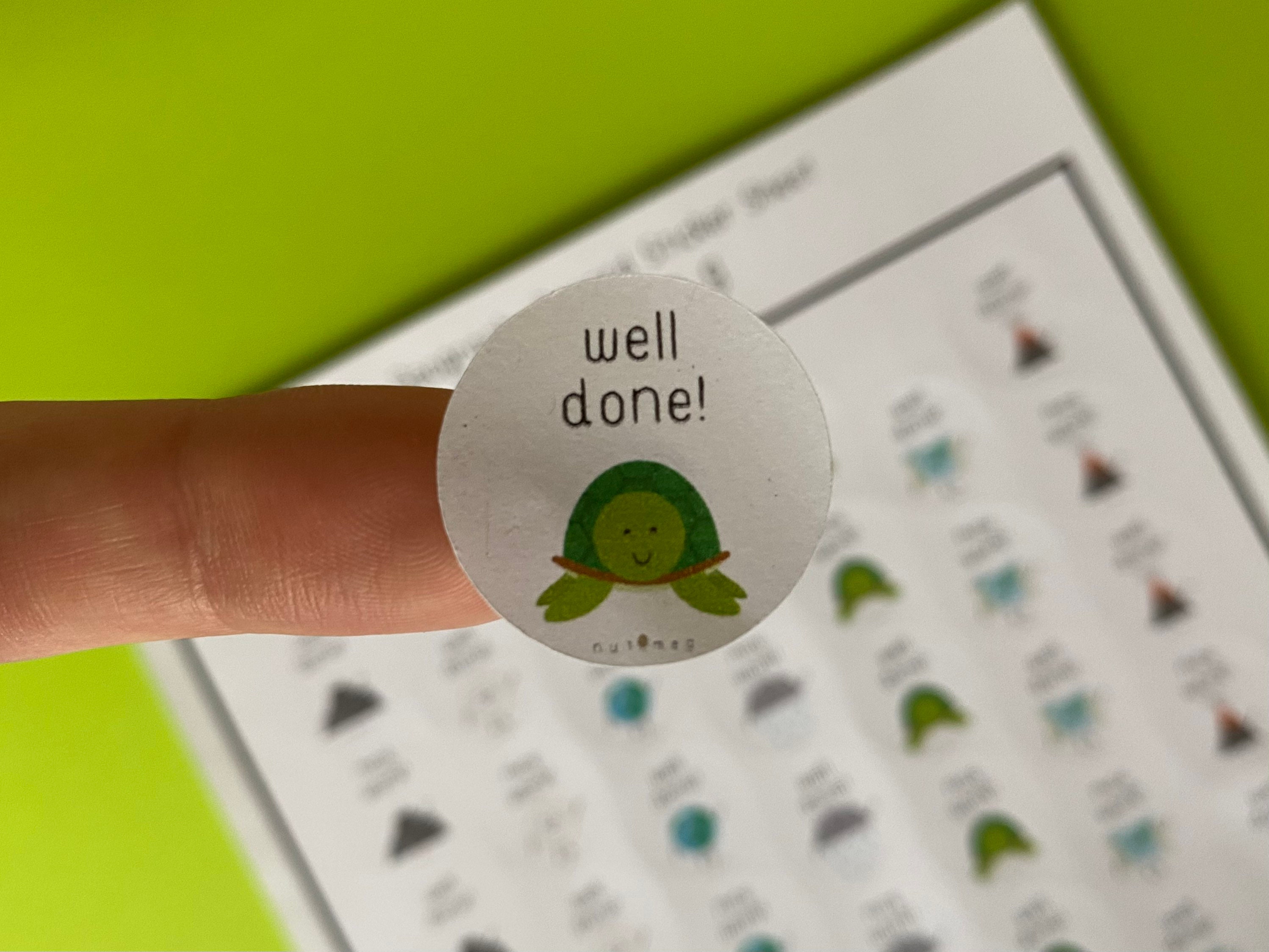 Geography Teacher Reward Stickers - 3 Sheets - 168 Stickers - Etsy UK