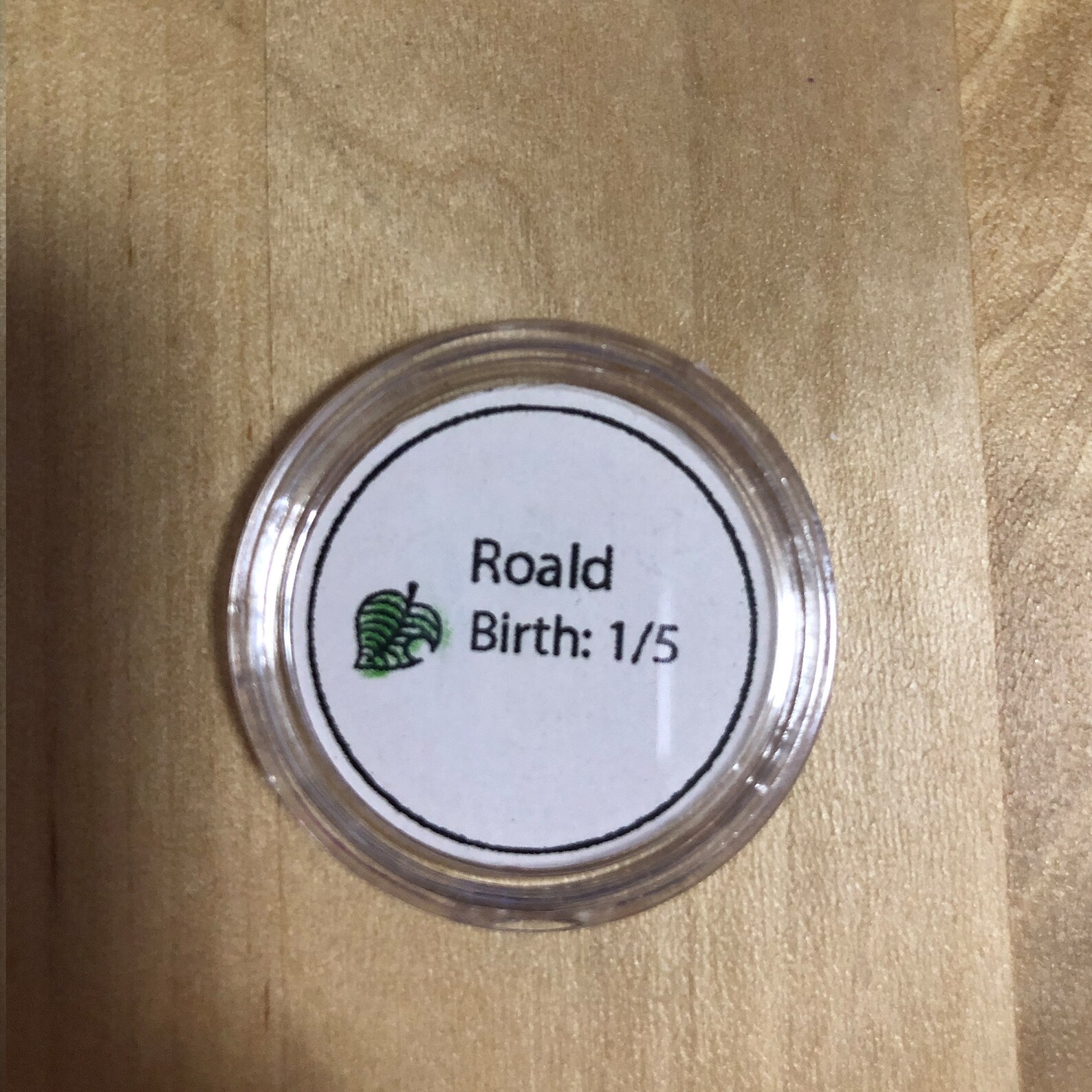 Animal Crossing Villager Roald 3D Printed Figure 13 Colors - Etsy