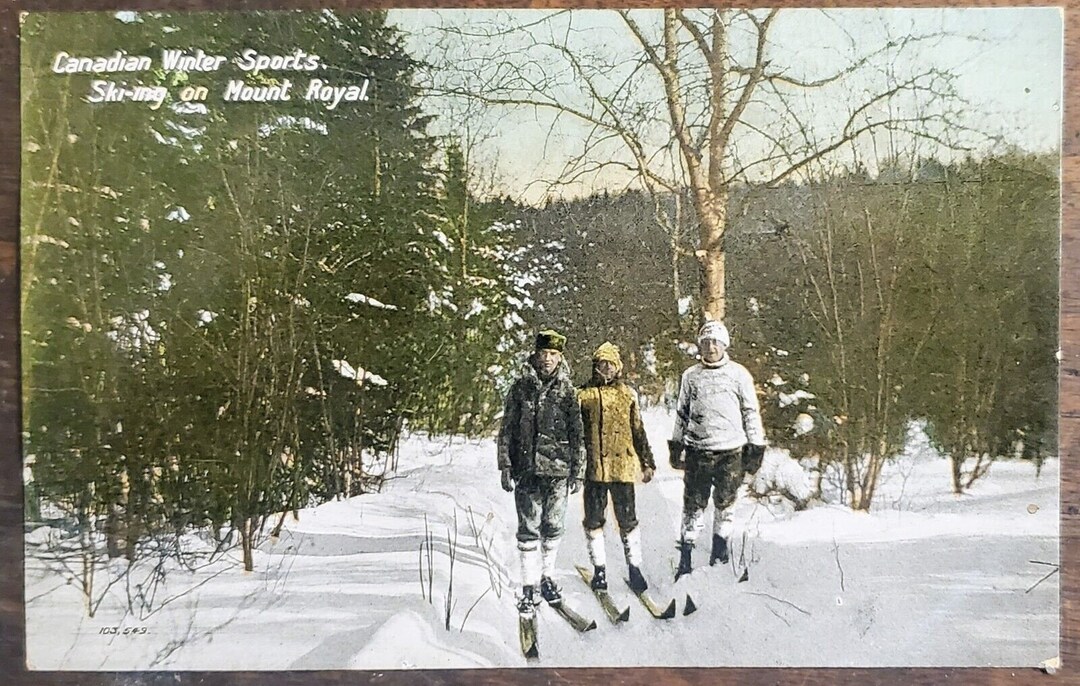Canadian Winter Sports Skiing on Mount Royal Cross Country Postcard ...